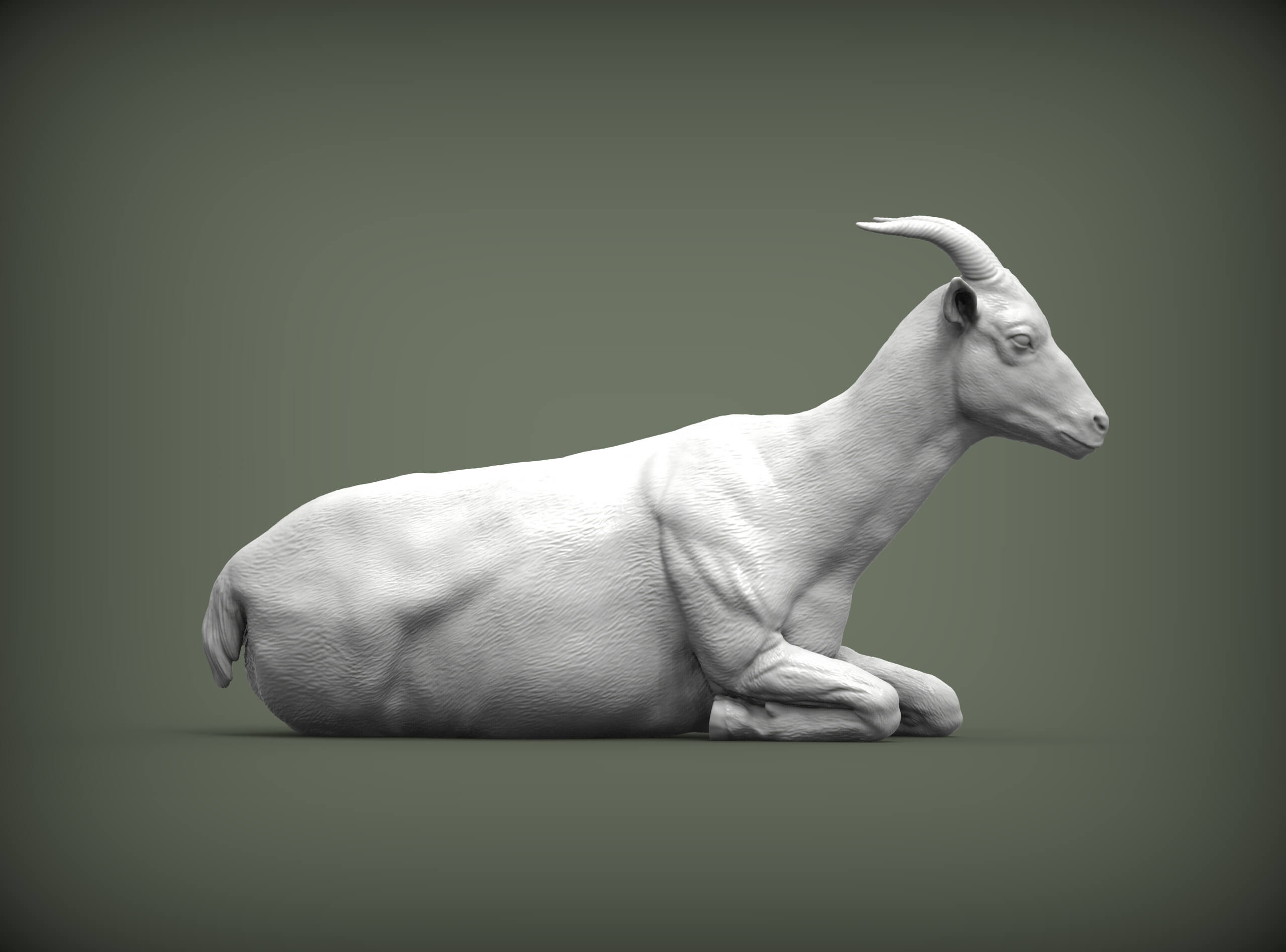 The Goat Lies 3D Print Model by Alexander3dart