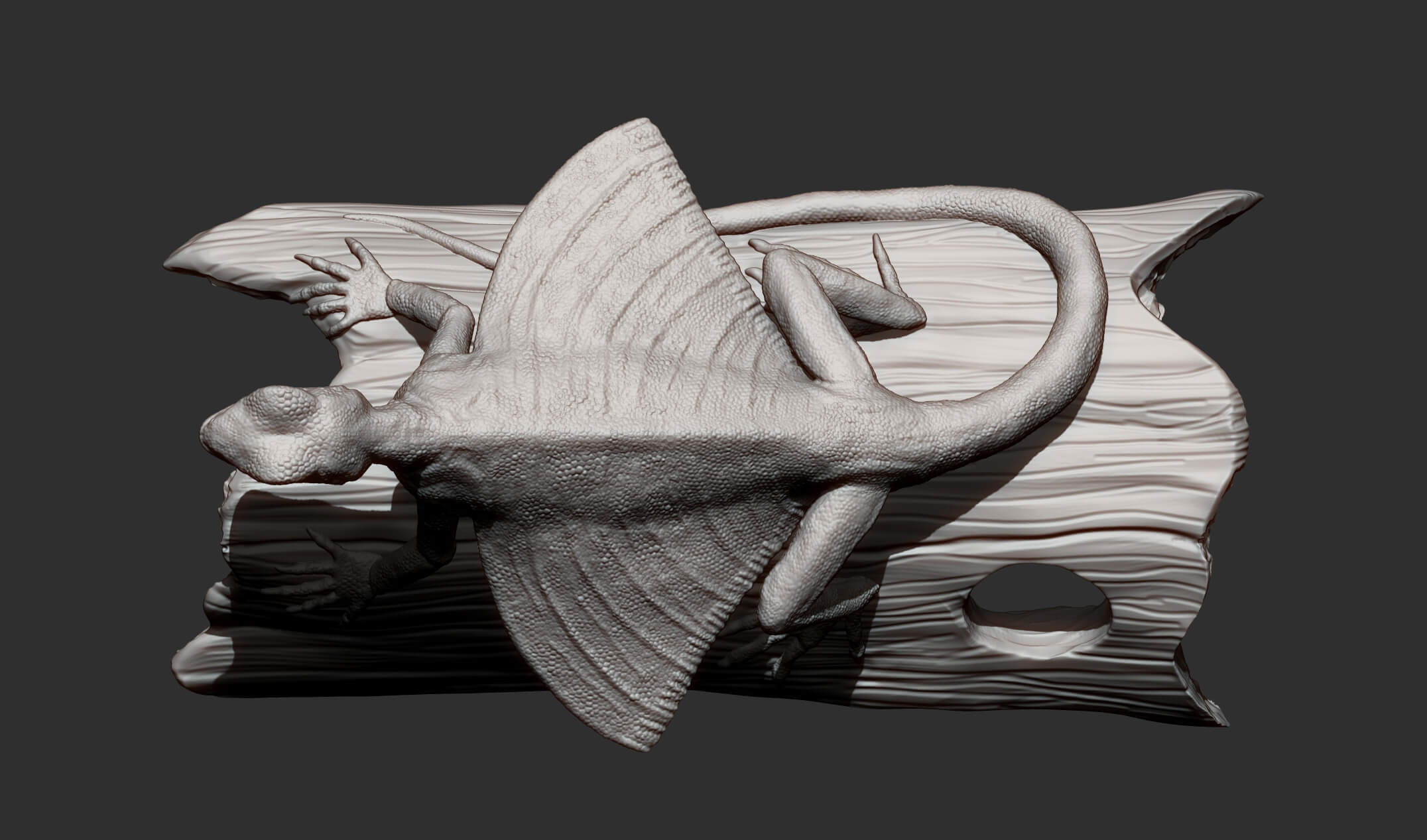 Timor Flying Dragon 3D Print Model by Alexander3dart