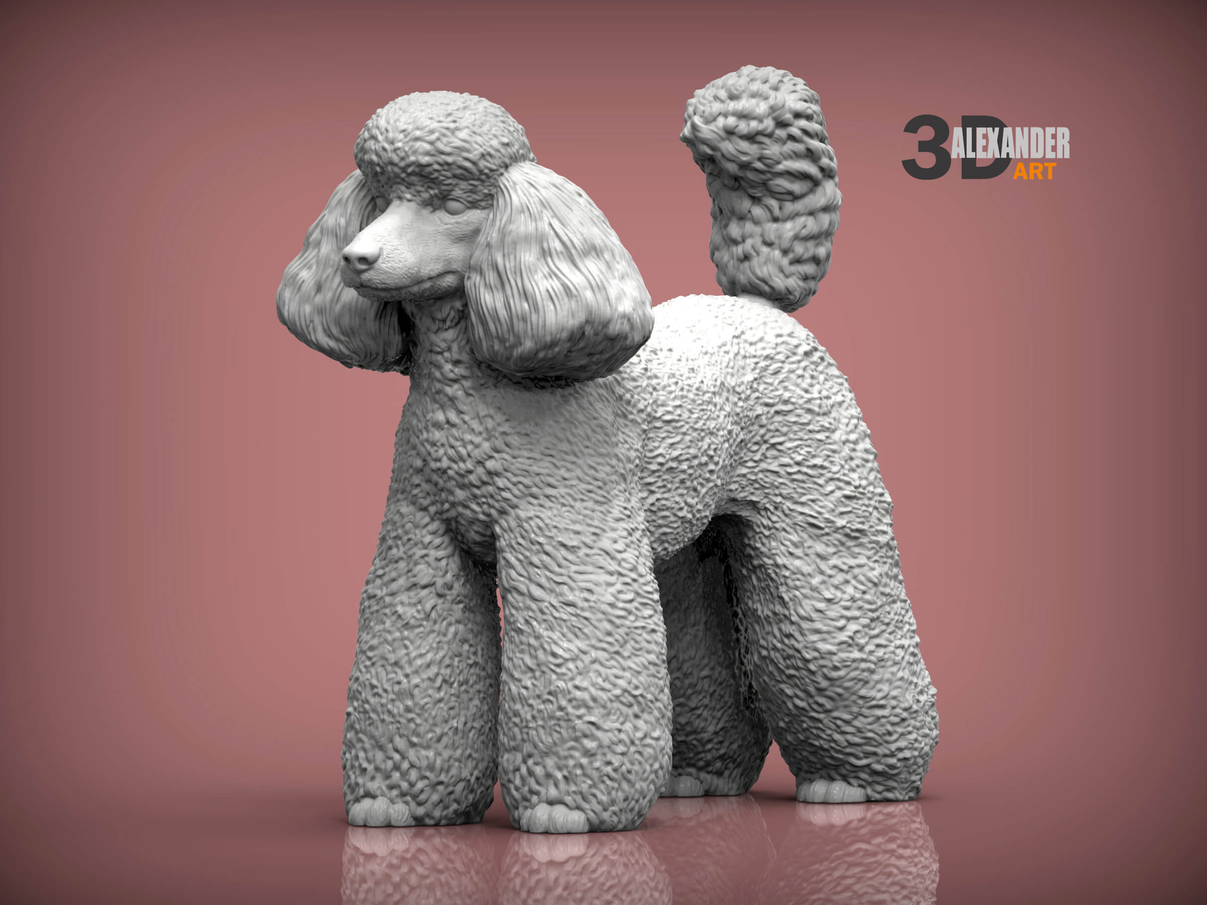 Toy Poodle 3D Print Model by Alexander3dart