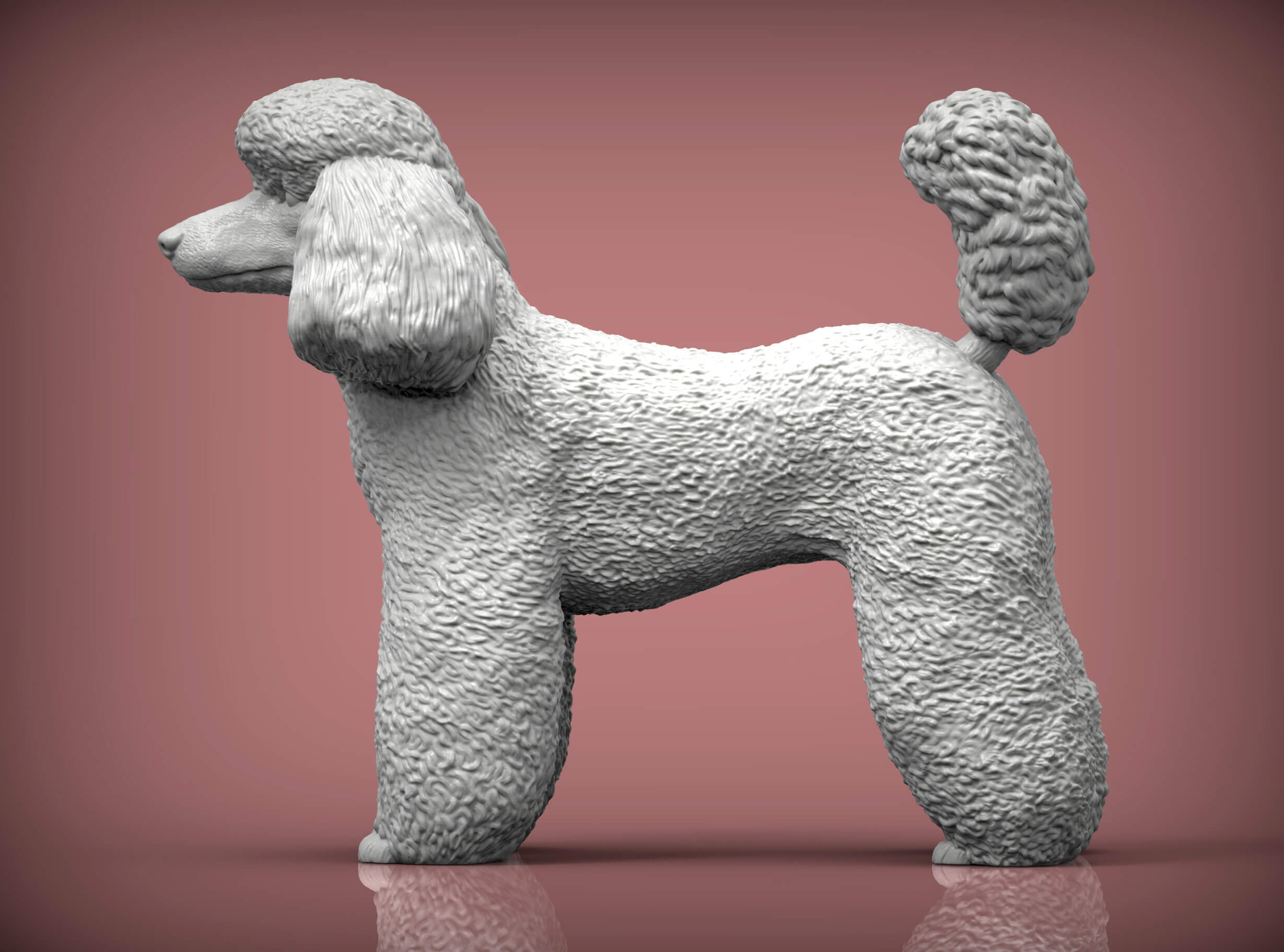 Toy Poodle 3D Print Model by Alexander3dart
