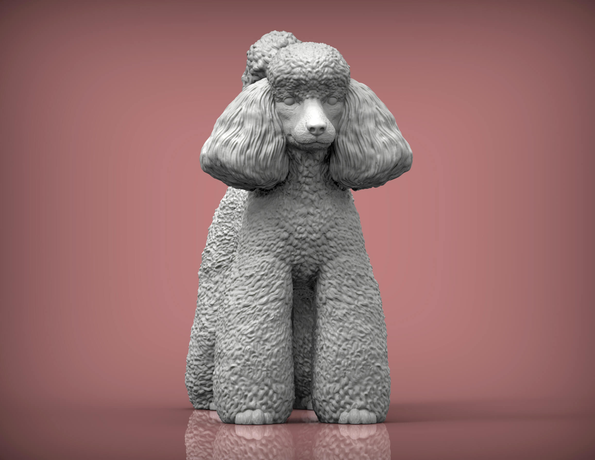 Toy Poodle 3D Print Model by Alexander3dart