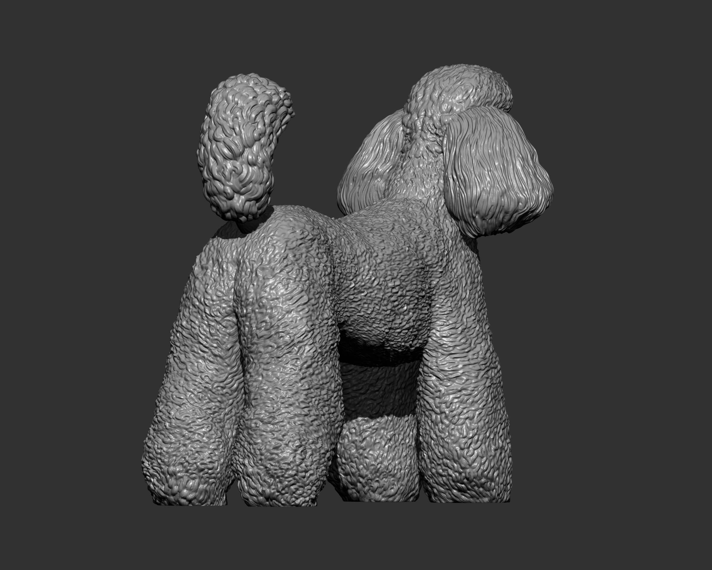 Toy Poodle 3D Print Model by Alexander3dart