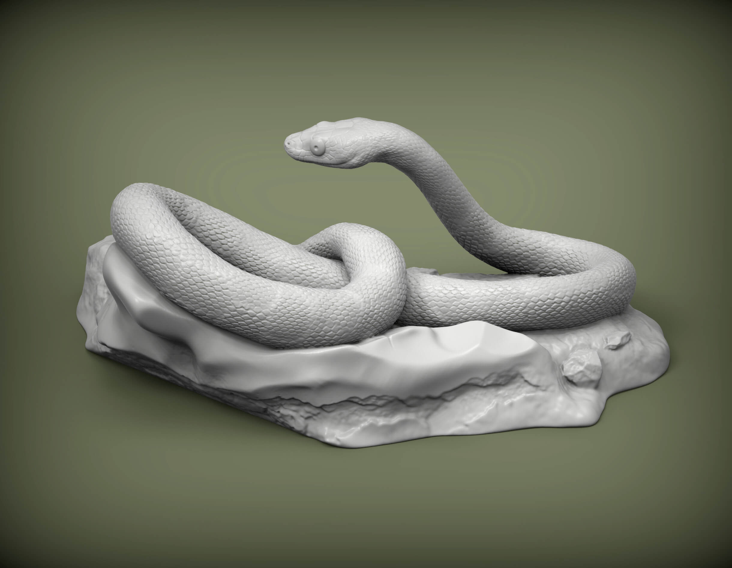 Trans-Pecos Rat Snake 3D Print Model by Alexander3dart
