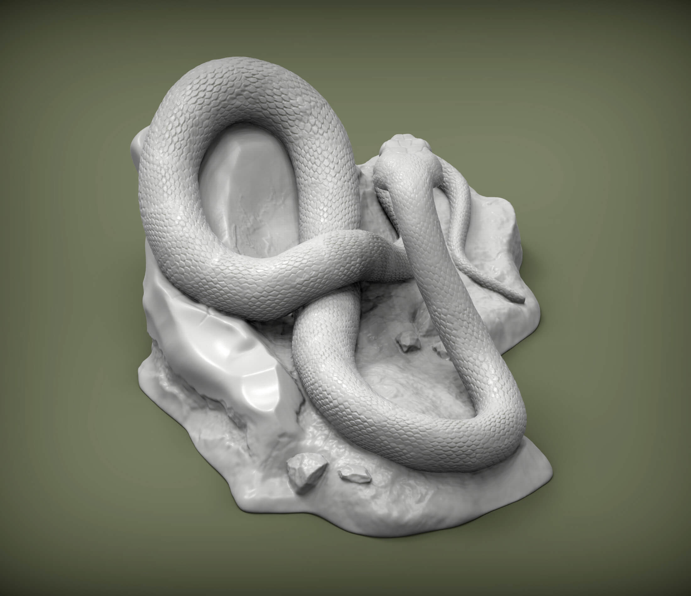 Trans-Pecos Rat Snake 3D Print Model by Alexander3dart
