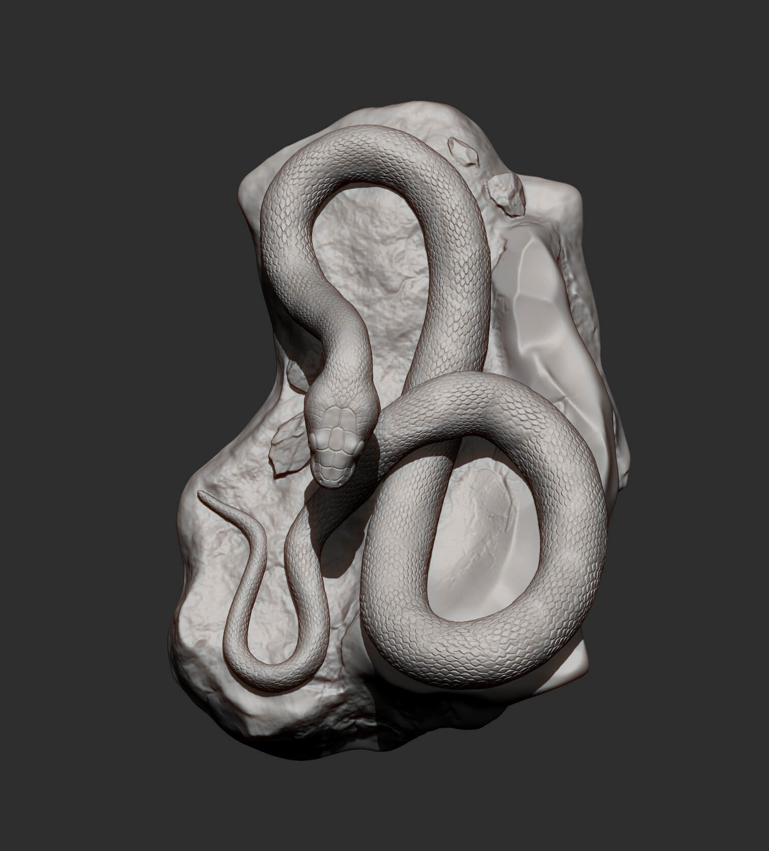 Trans-Pecos Rat Snake 3D Print Model by Alexander3dart