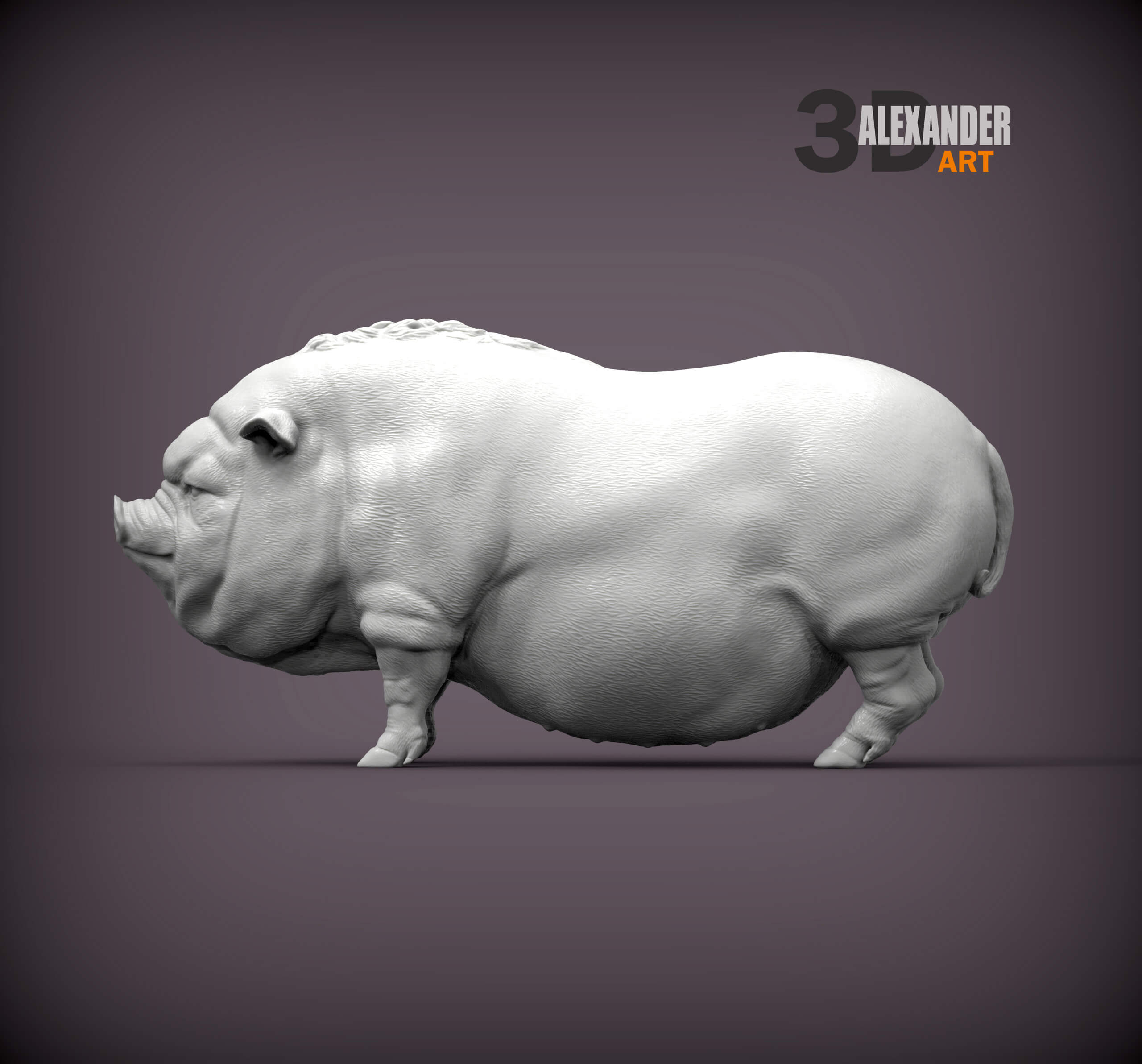 Vietnamese Pig 3D Print Model by Alexander3dart