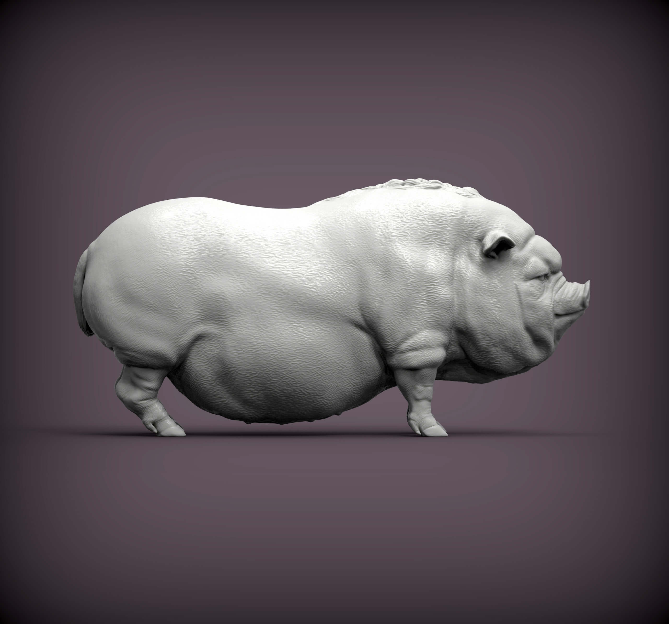 Vietnamese Pig - 3D Model by Alexander3dart