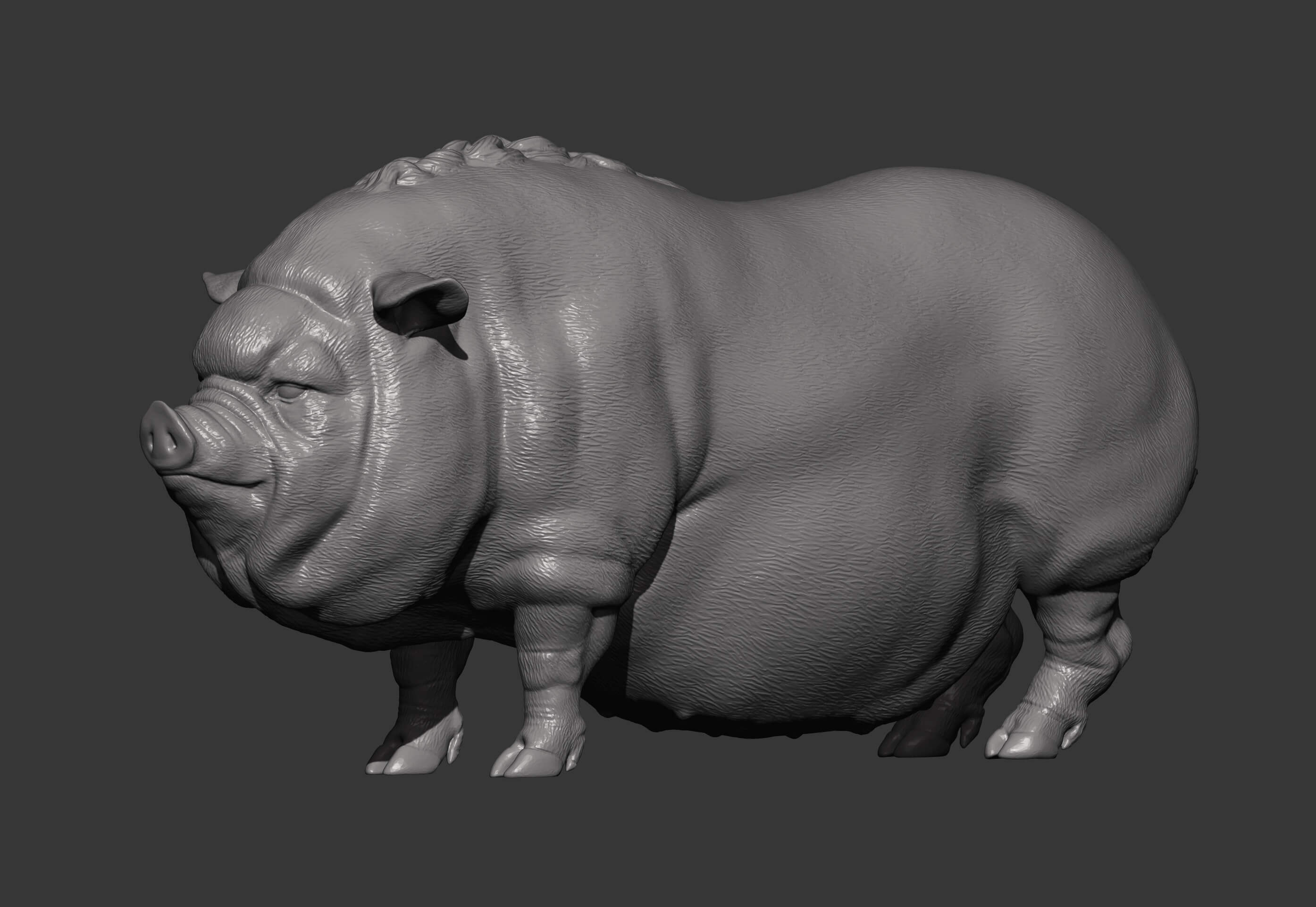 Vietnamese Pig - 3D Model by Alexander3dart