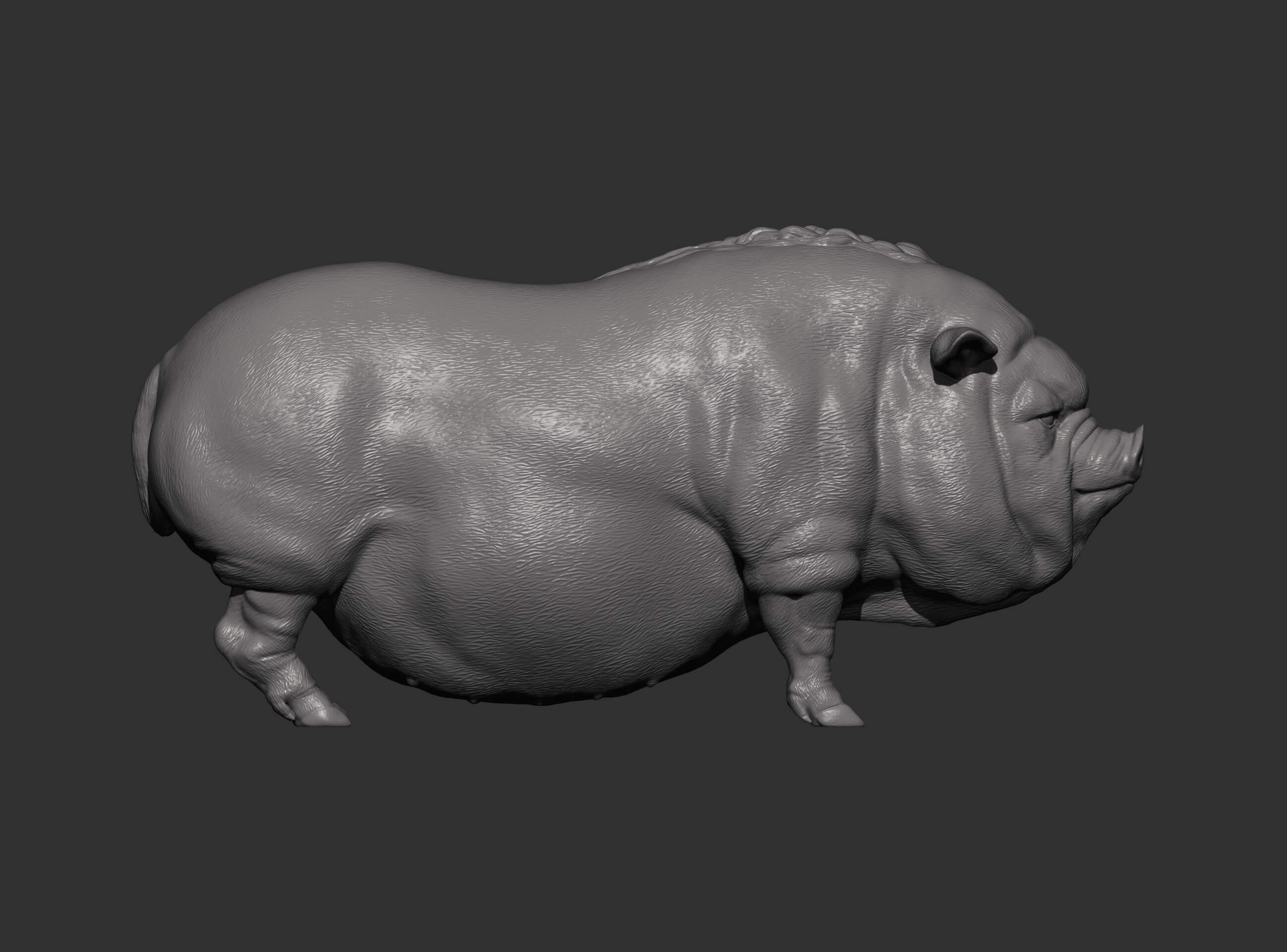 Vietnamese Pig 3D Print Model by Alexander3dart