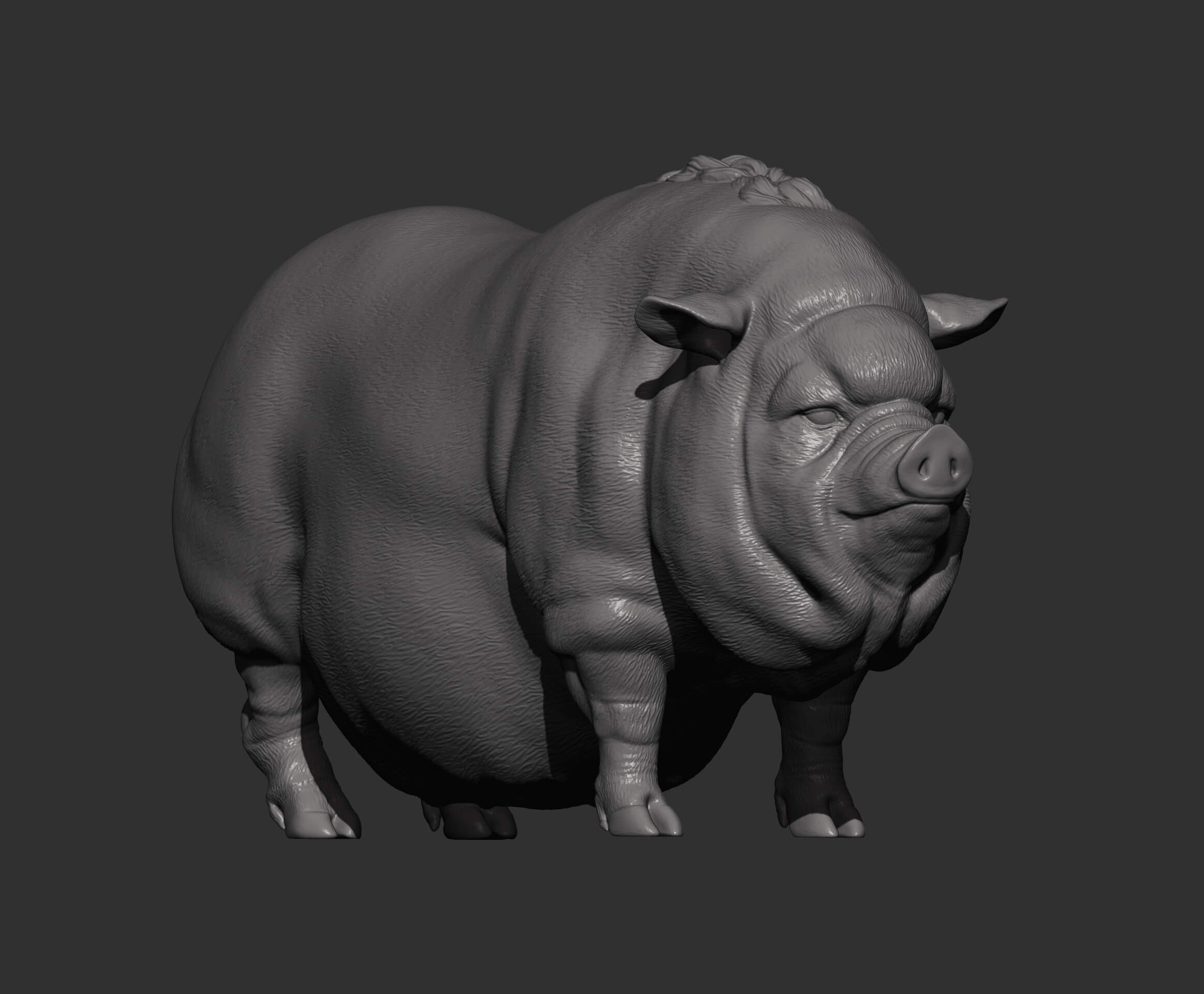 Vietnamese Pig - 3D Model by Alexander3dart