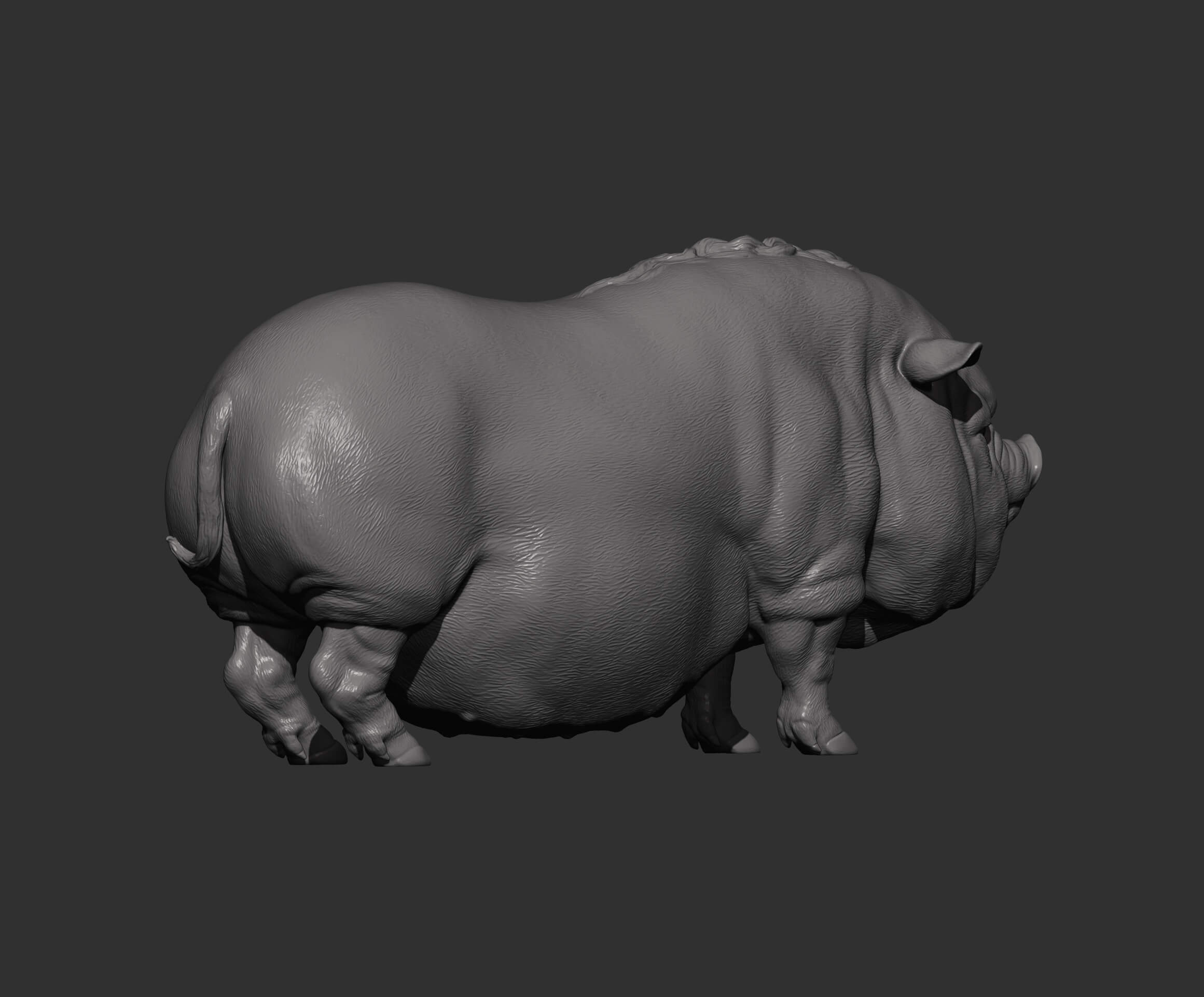 Vietnamese Pig 3D Print Model by Alexander3dart