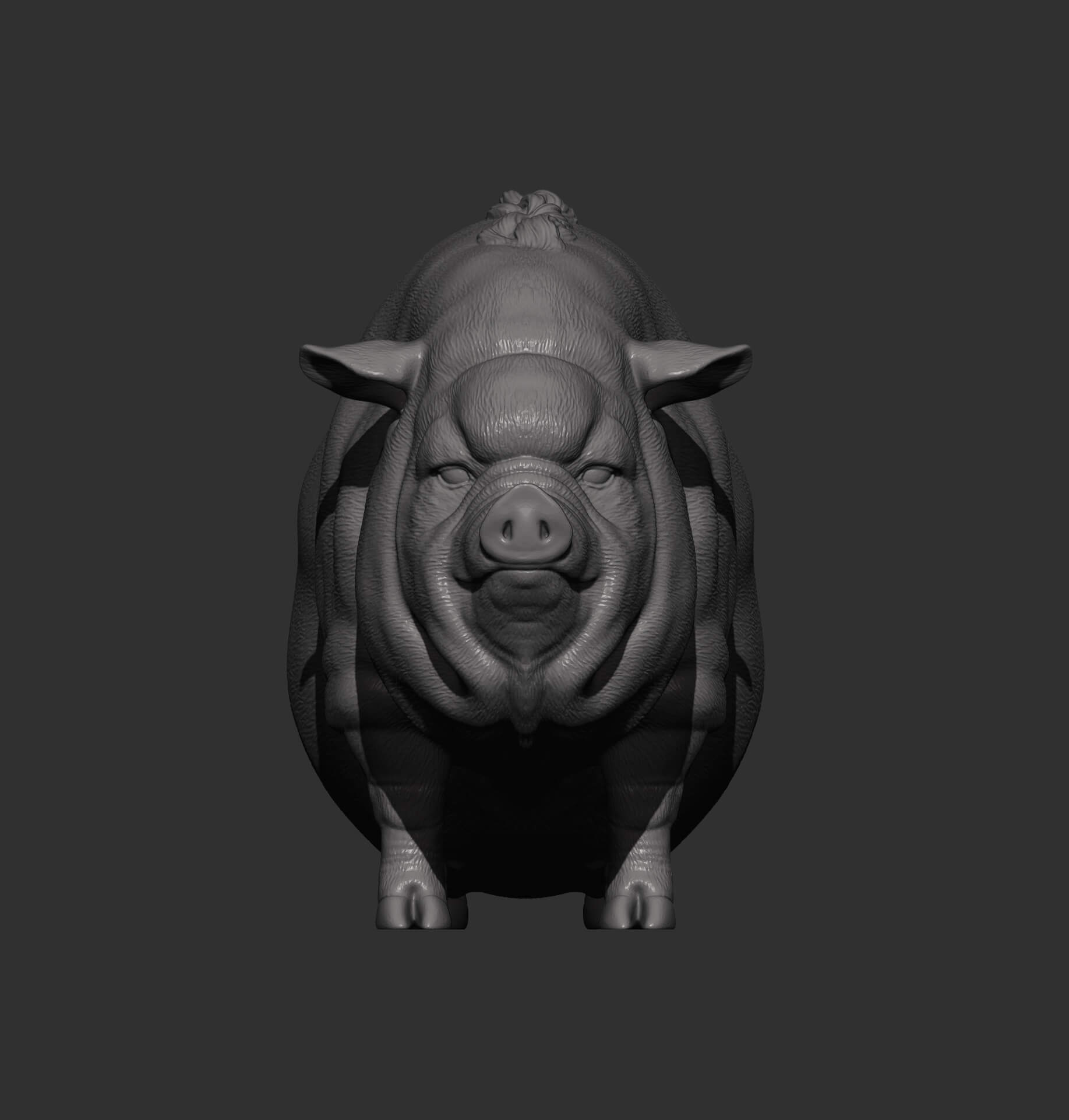 Vietnamese Pig - 3D Model by Alexander3dart
