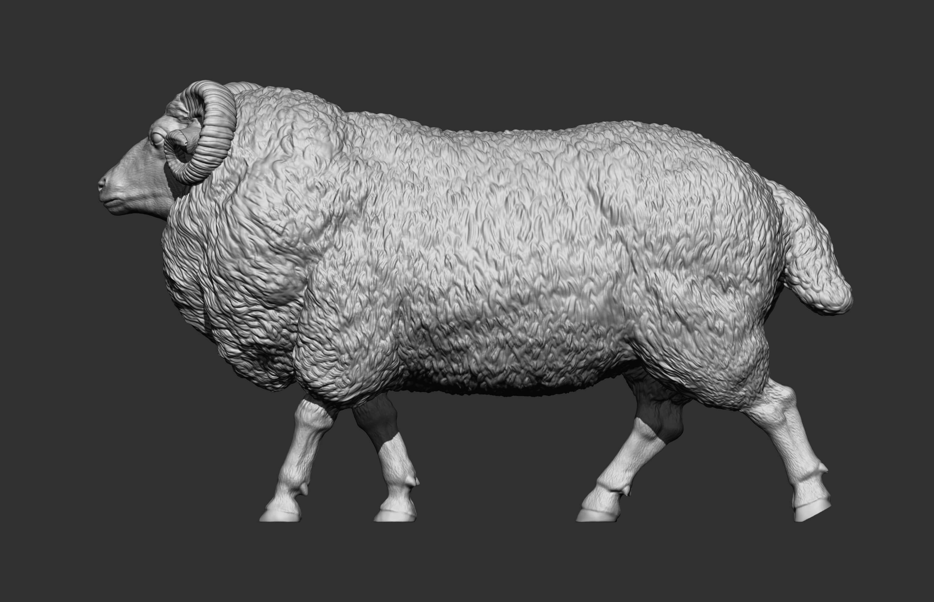 Walking Ram 3D Print Model by Alexander3dart