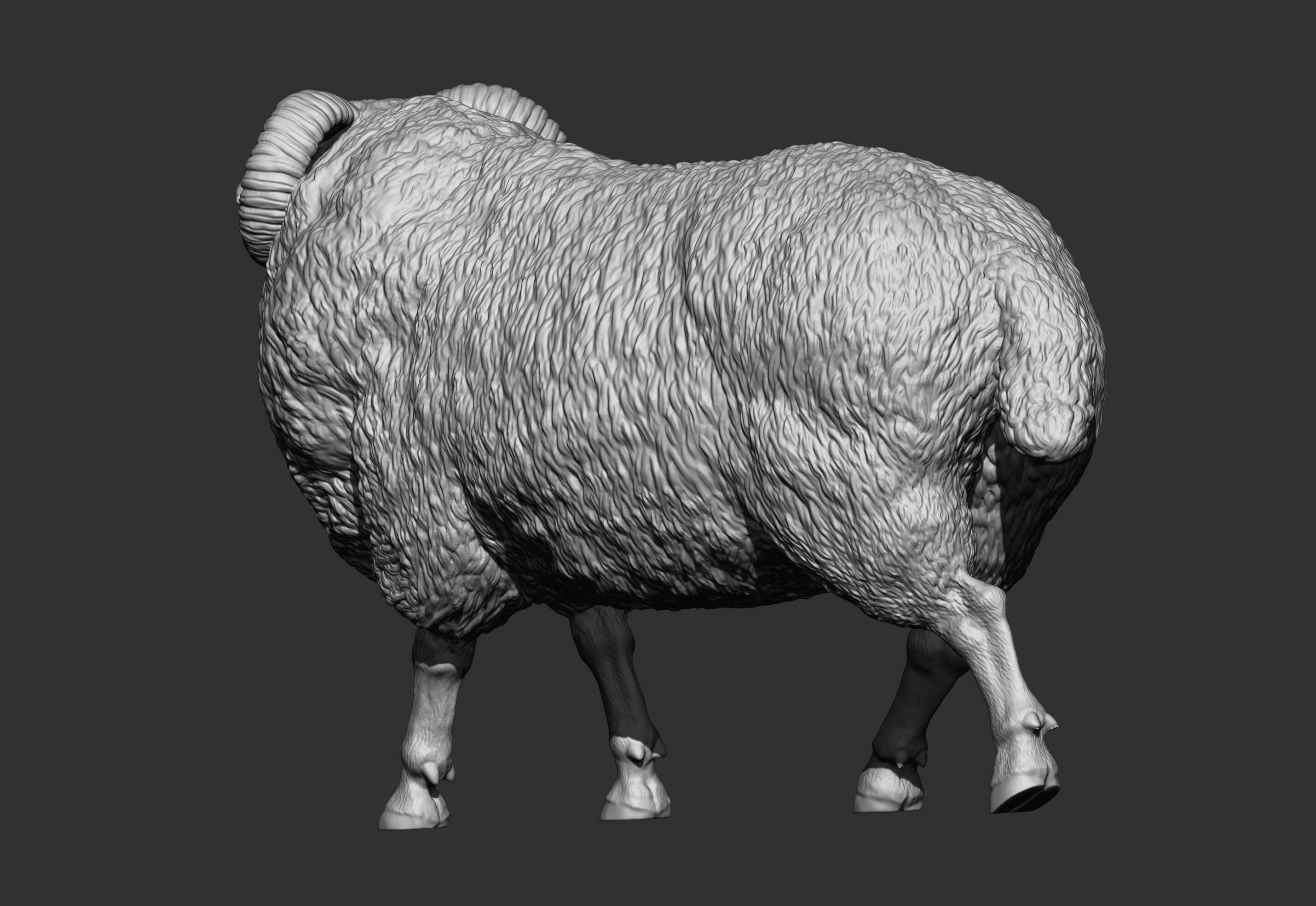 Walking Ram 3D Print Model by Alexander3dart