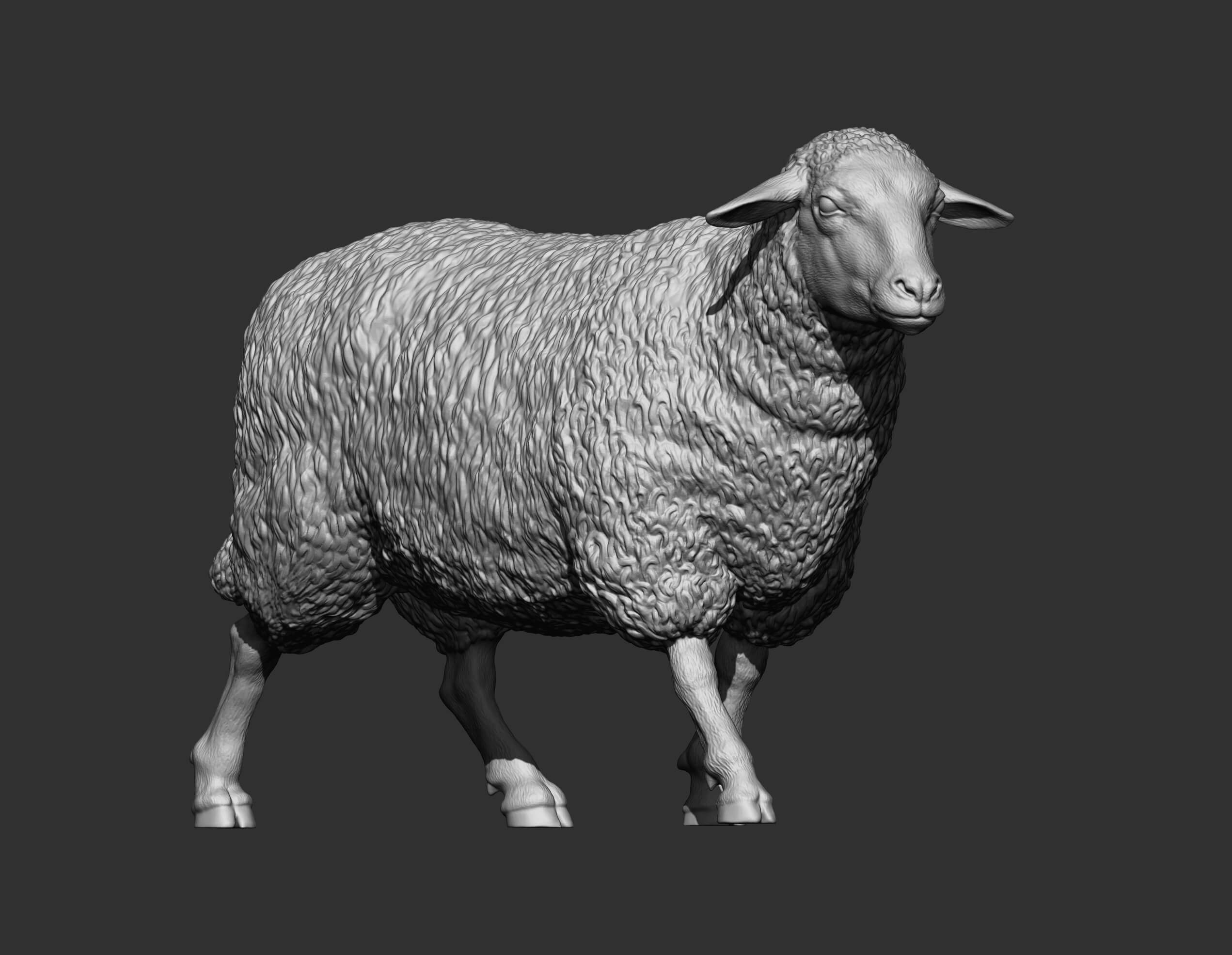 Walking Sheep 3D Print Model by Alexander3dart