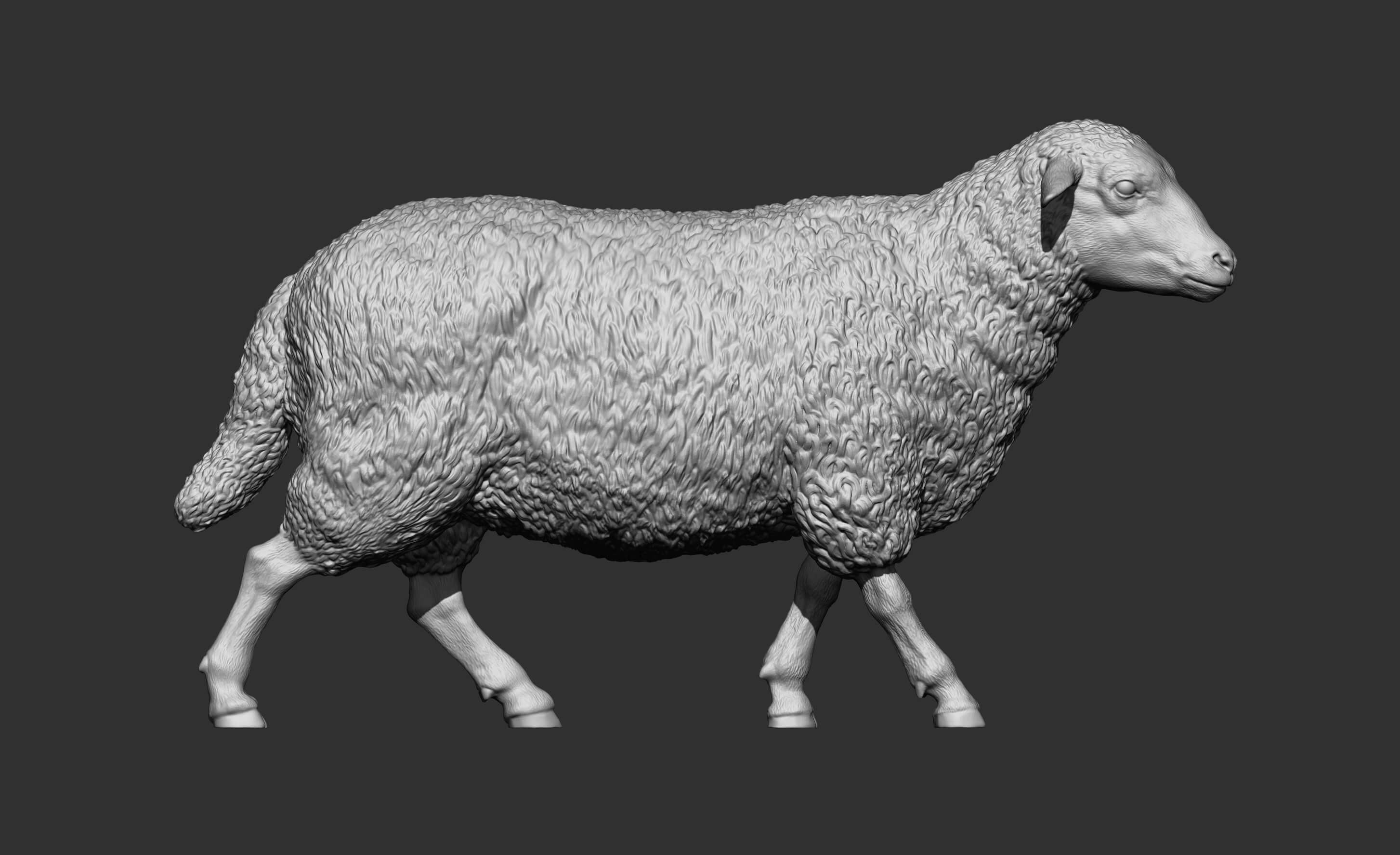 Walking Sheep 3D Print Model by Alexander3dart