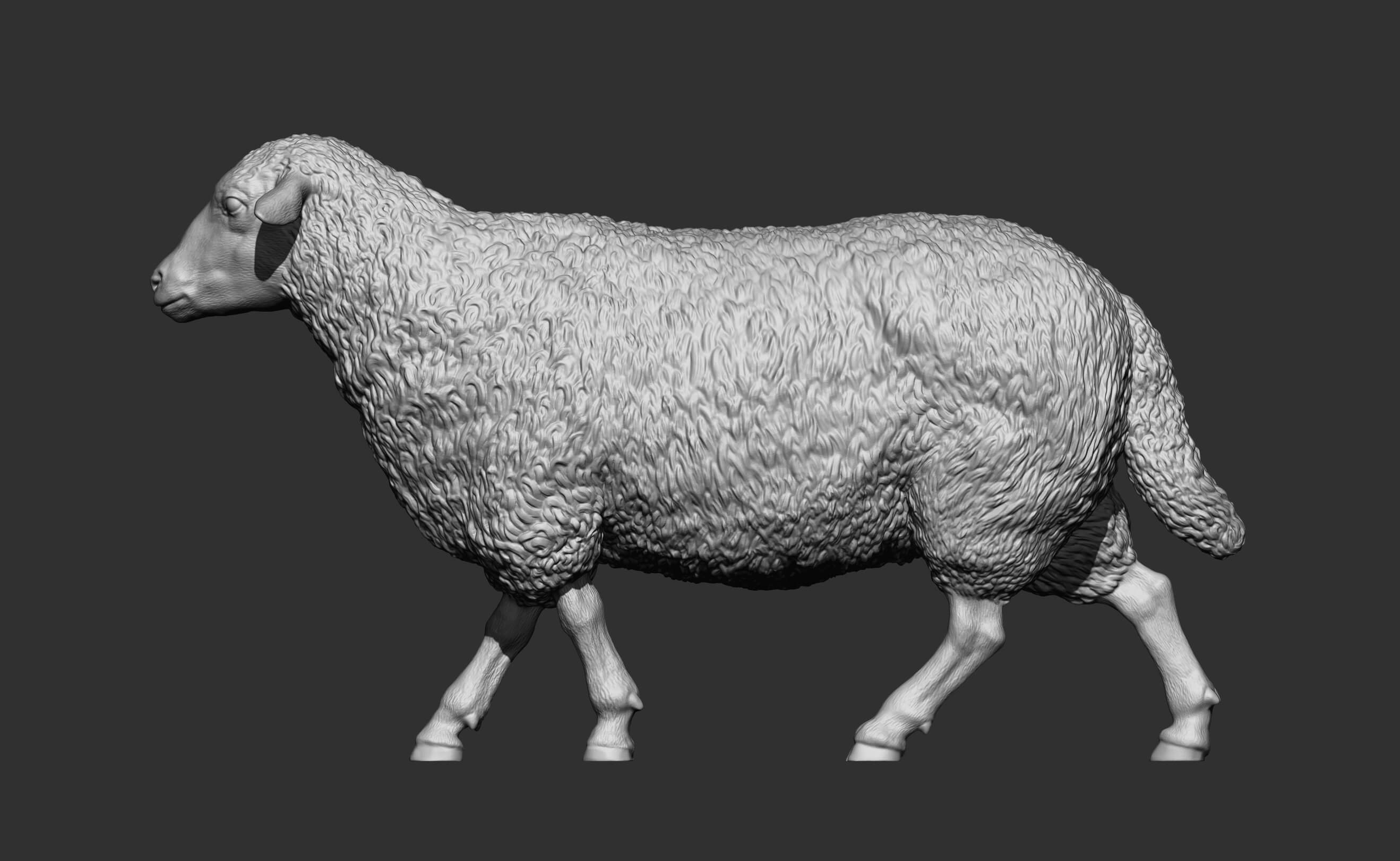 Walking Sheep 3D Print Model by Alexander3dart