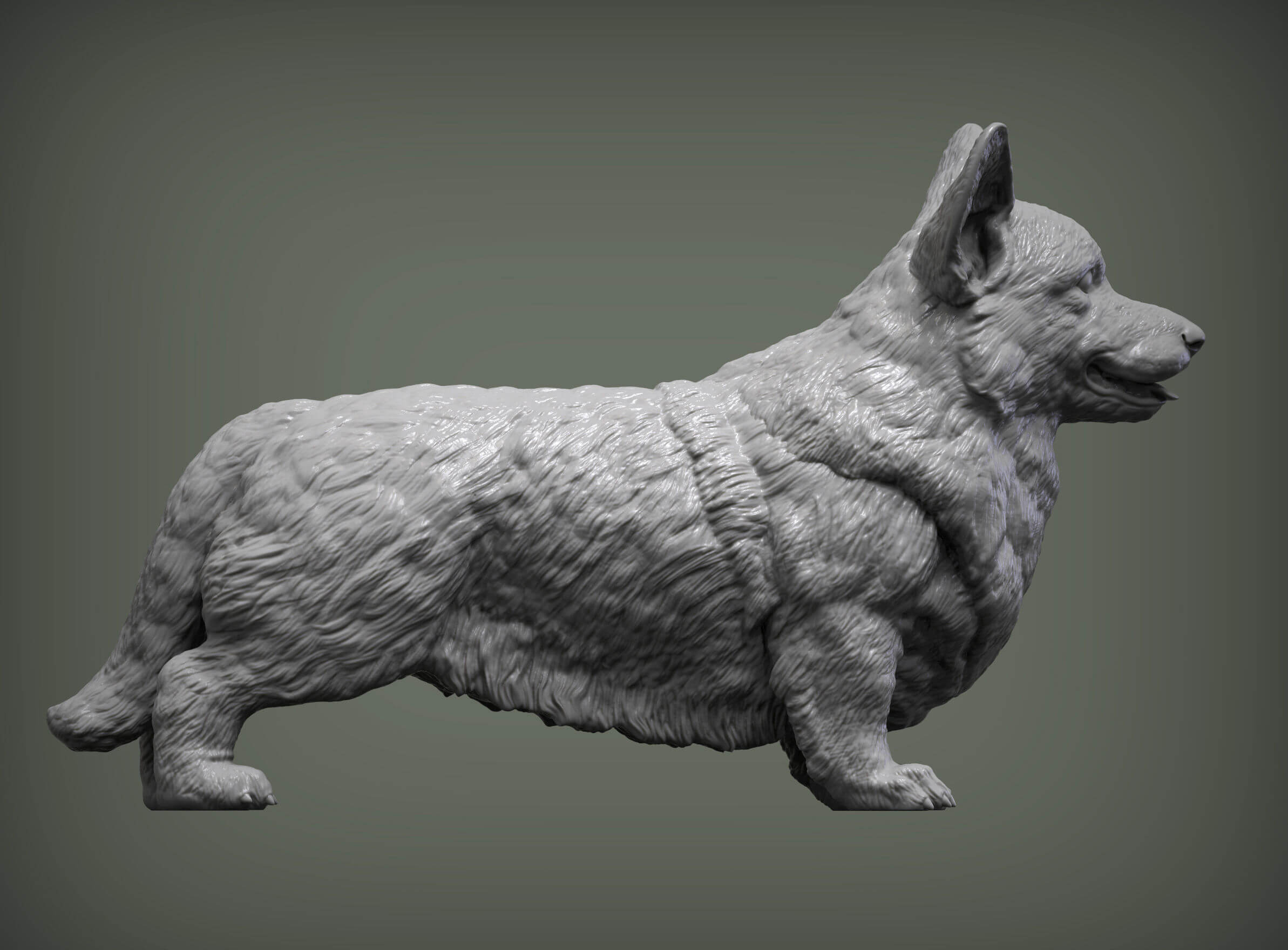 Welsh Corgi Pembroke 3D Print Model by Alexander3dart