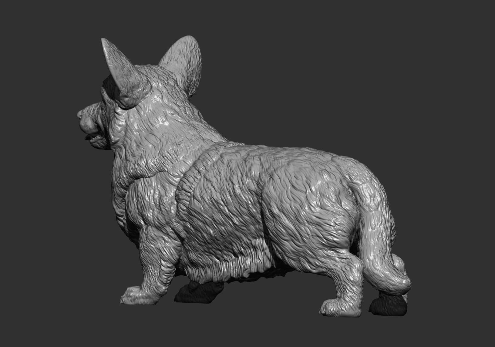 Welsh Corgi Pembroke 3D Print Model by Alexander3dart