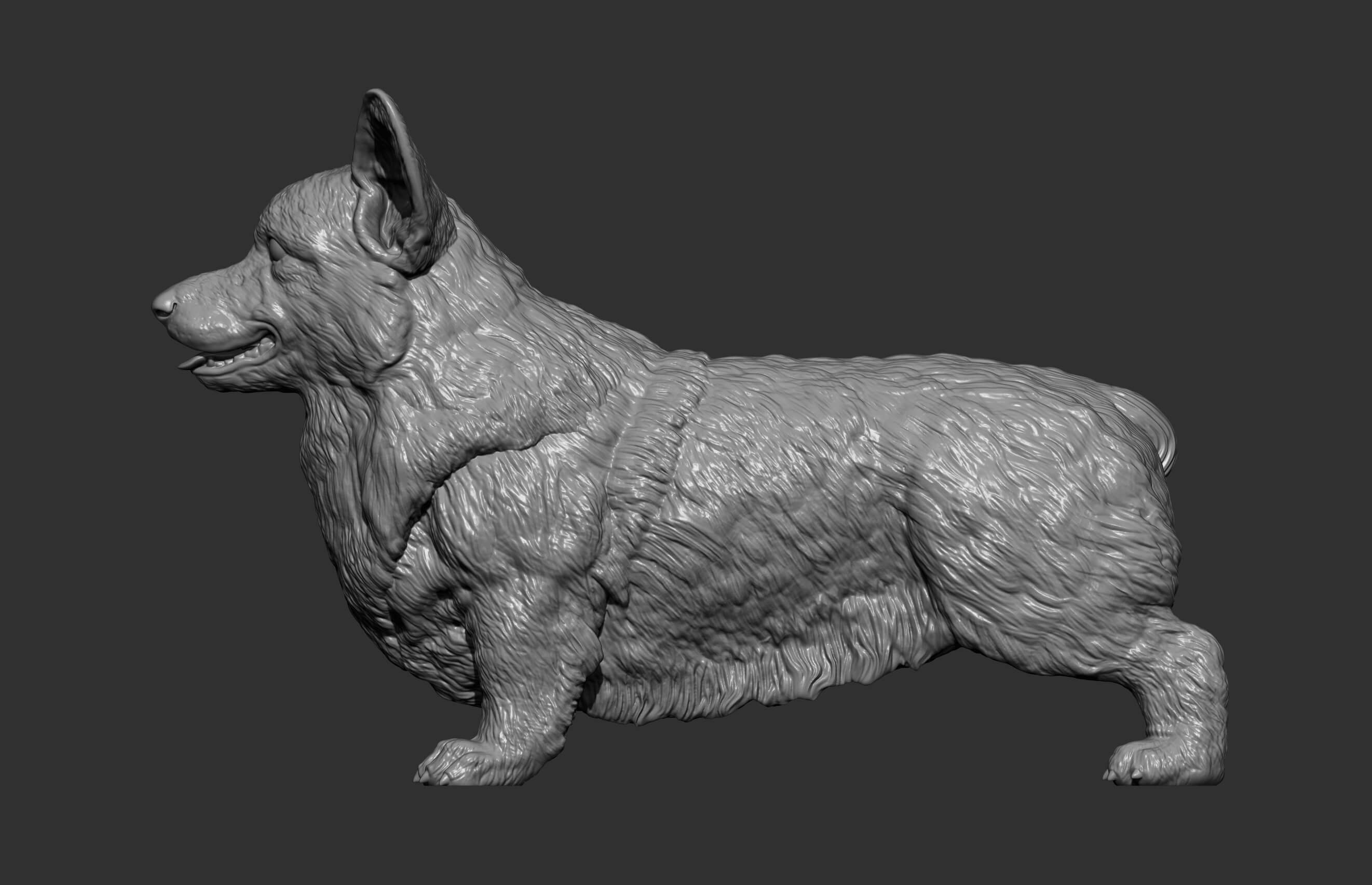 Welsh Corgi Pembroke 3D Print Model by Alexander3dart