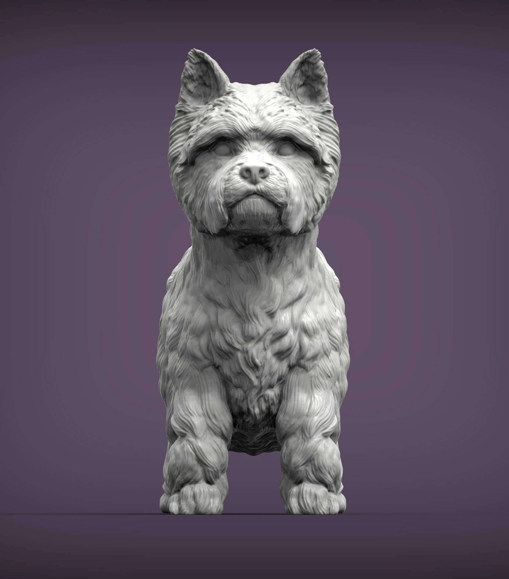 West Highland White Terrier 3D Print Model by Alexander3dart