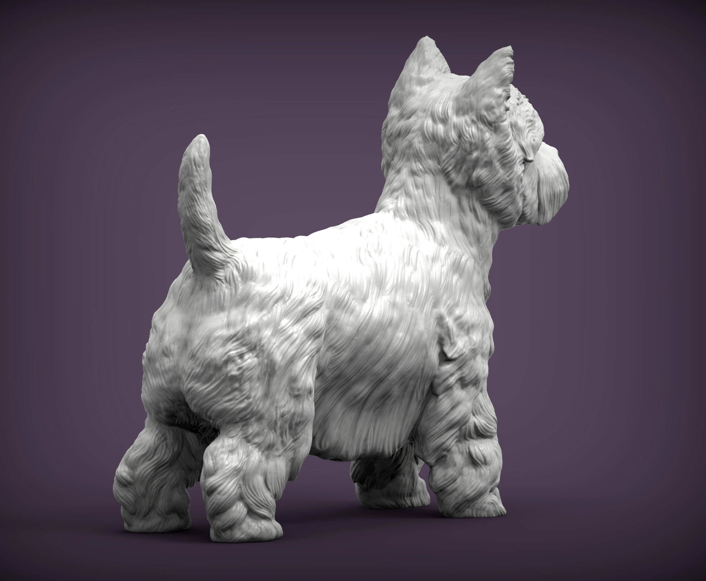 West Highland White Terrier 3D Print Model by Alexander3dart