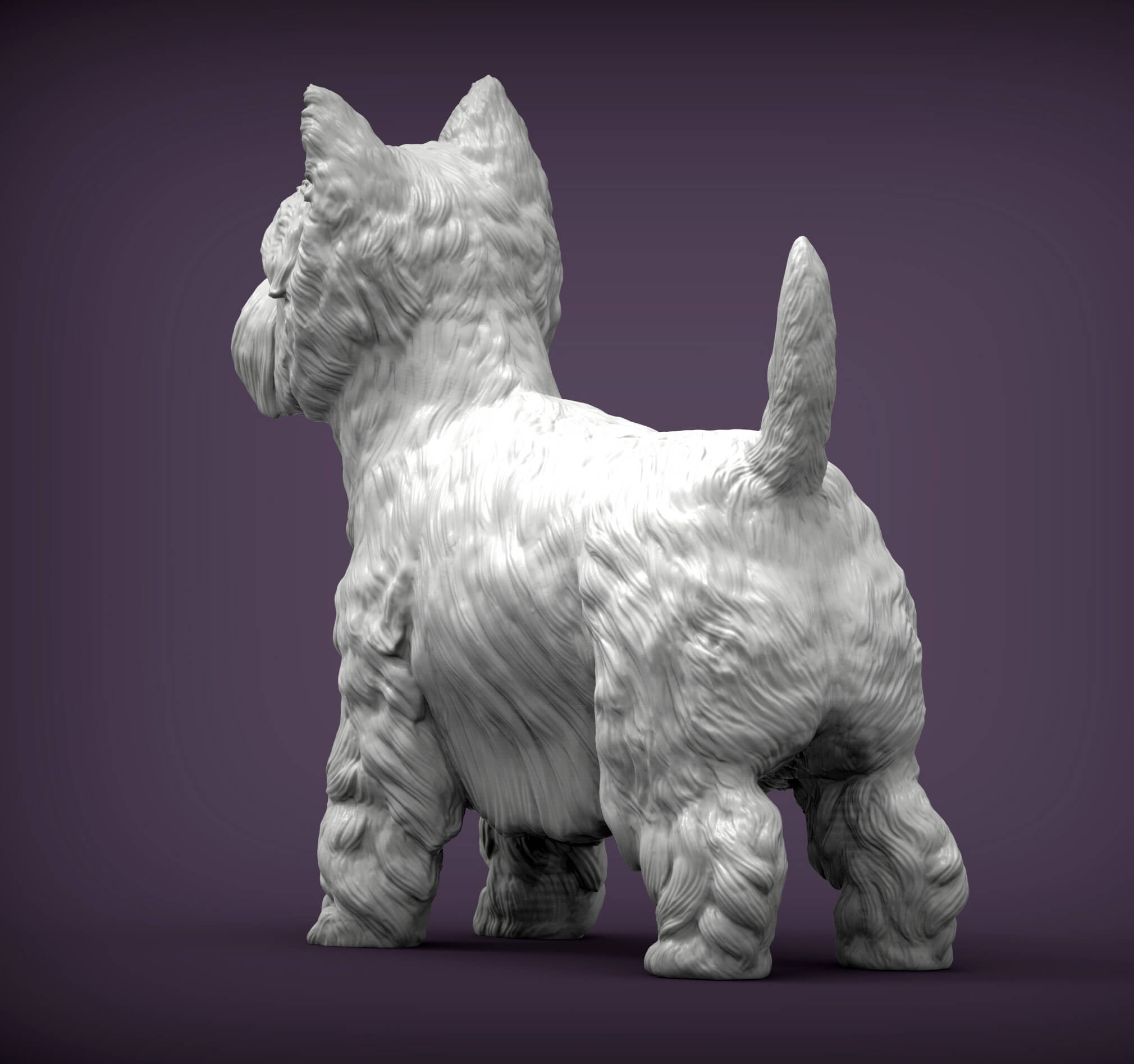 West Highland White Terrier 3D Print Model by Alexander3dart