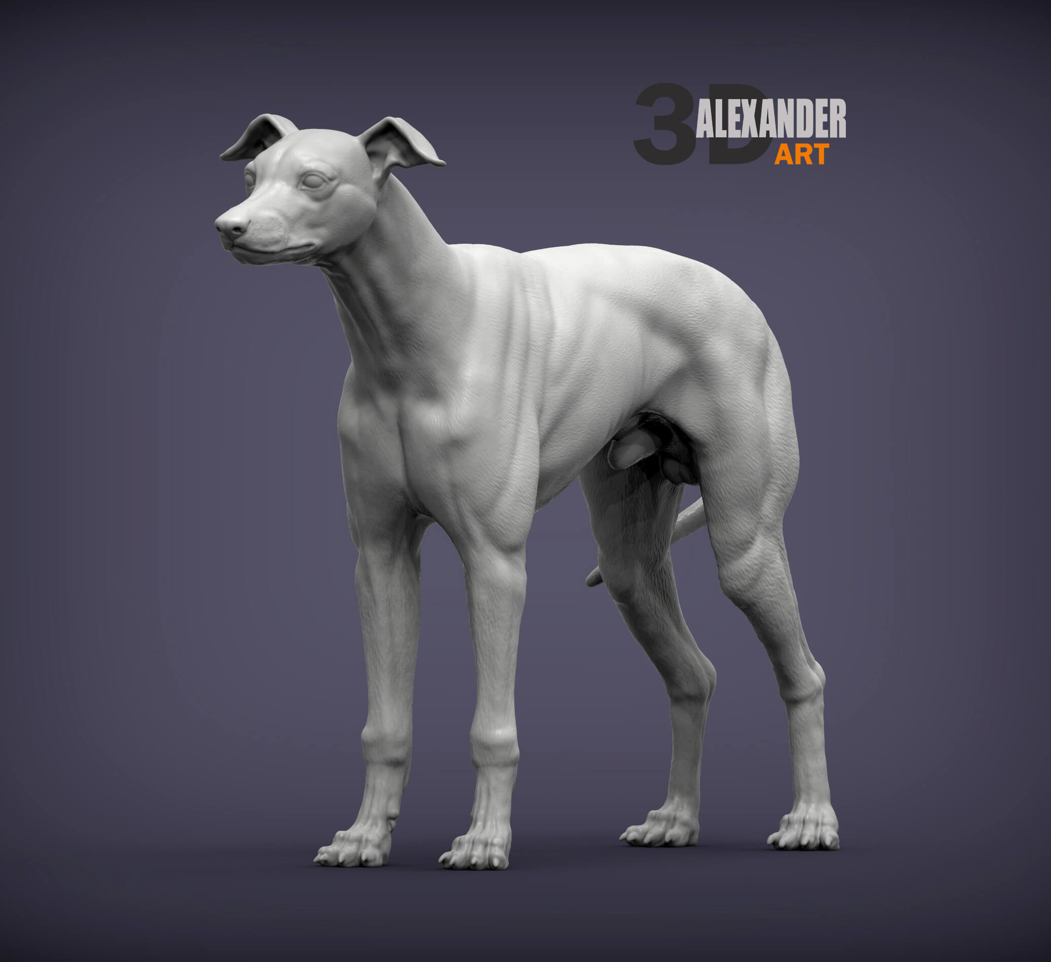 Whippet Sculpture - 3D Model by Alexander3dart