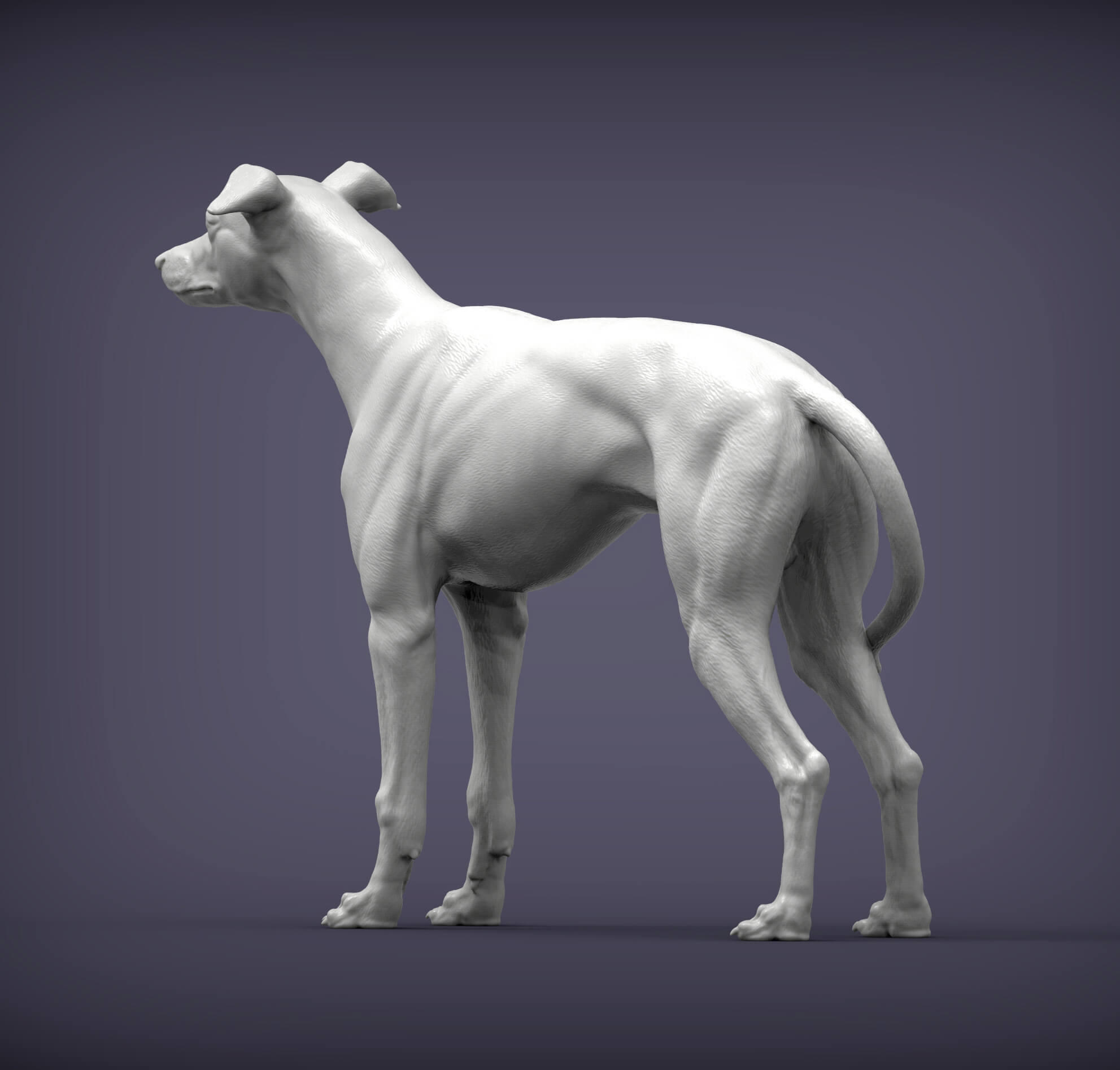 Whippet Sculpture - 3D Model by Alexander3dart