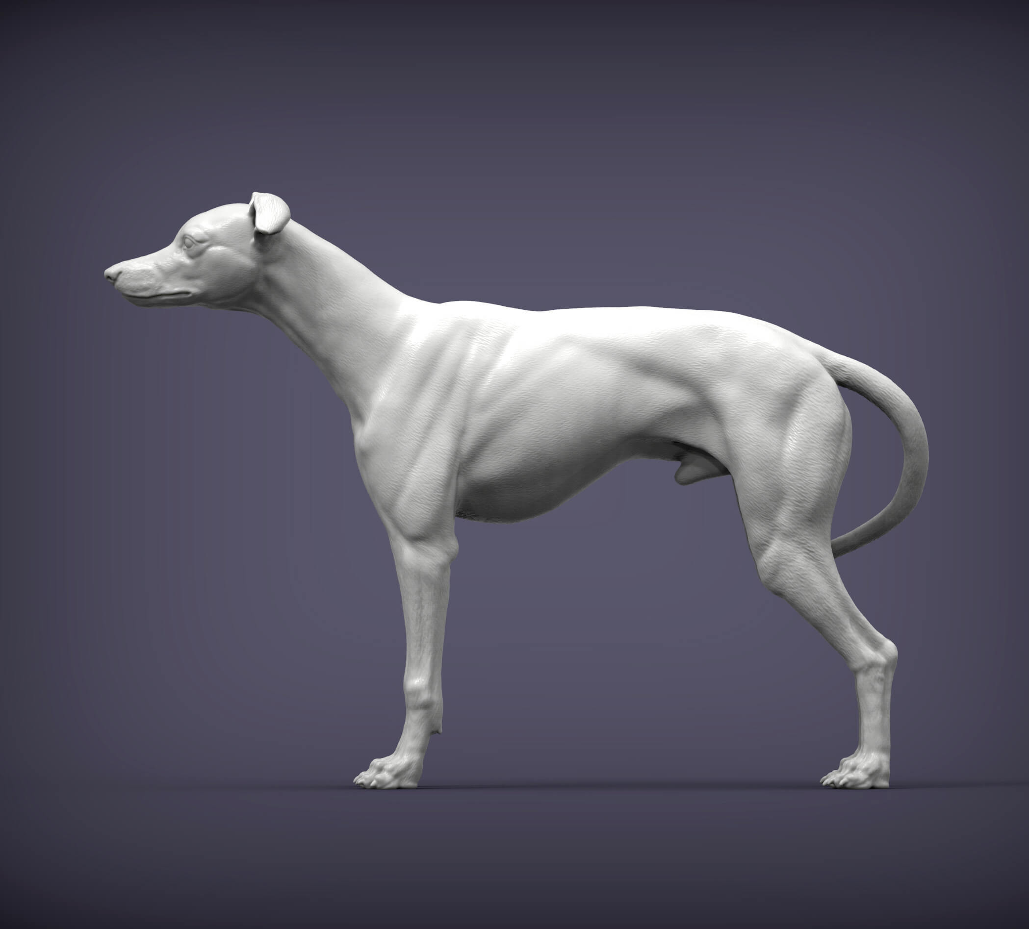Whippet Sculpture - 3D Model by Alexander3dart