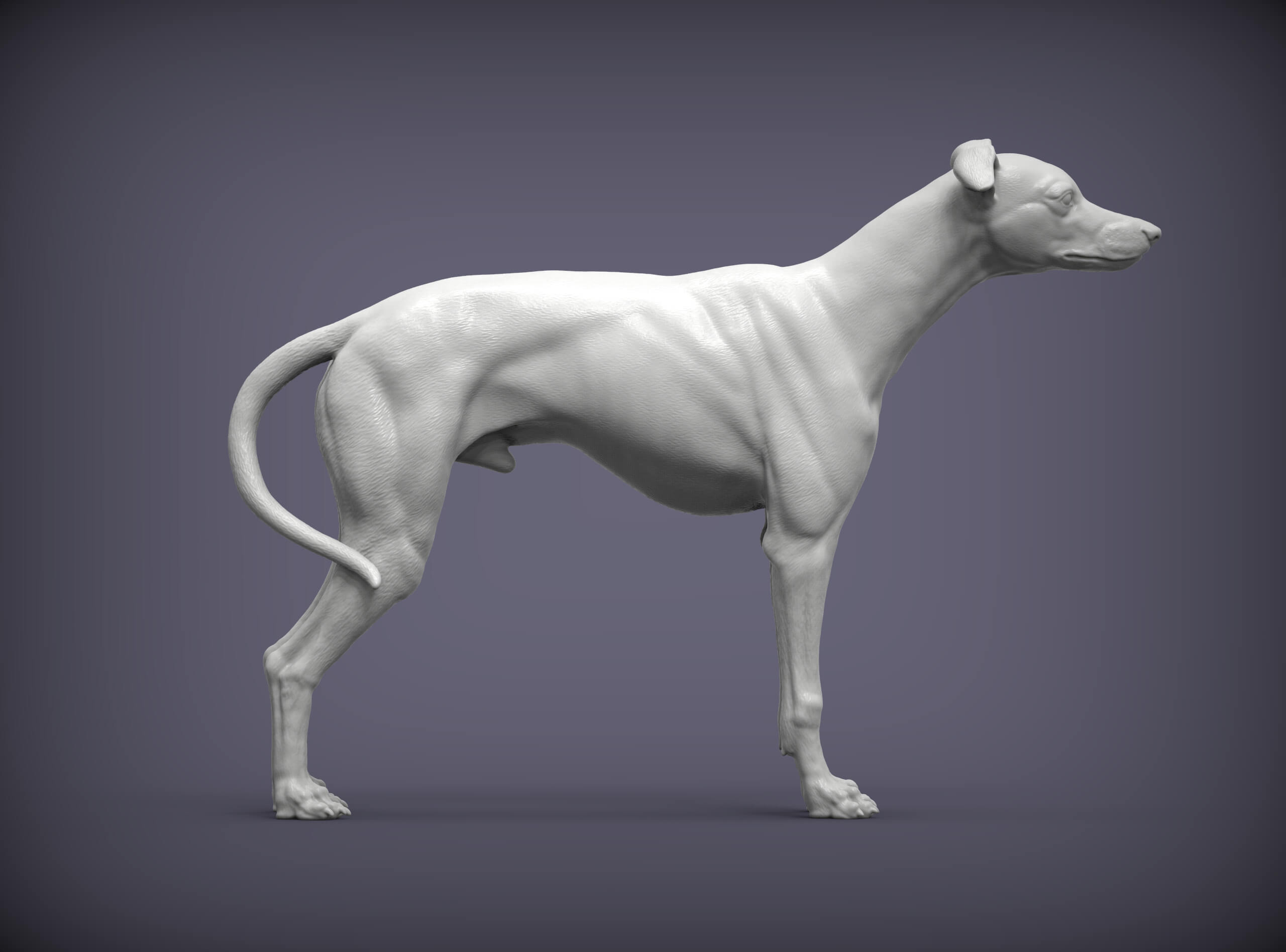 Whippet Sculpture - 3D Model by Alexander3dart
