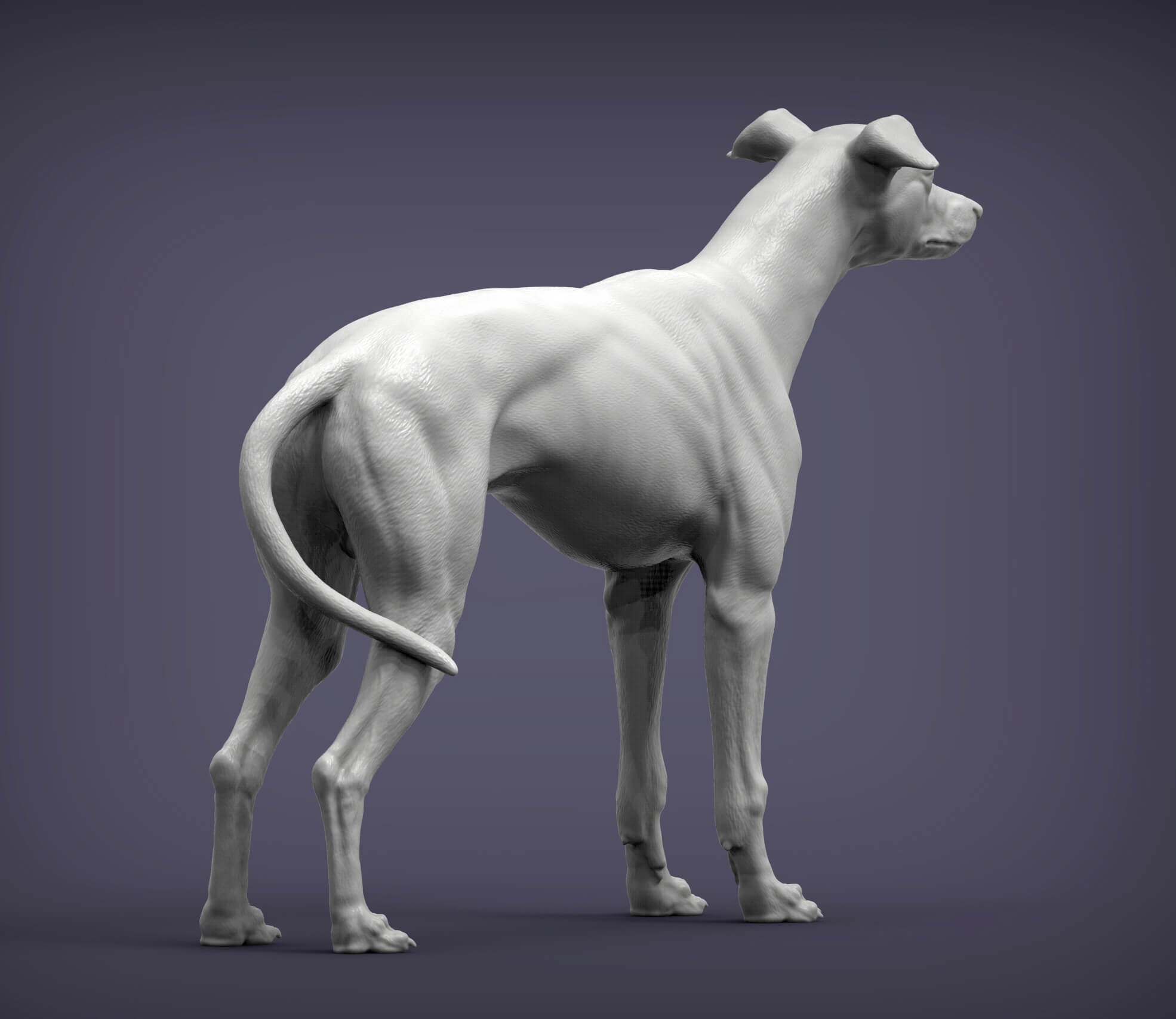 Whippet Sculpture - 3D Model by Alexander3dart