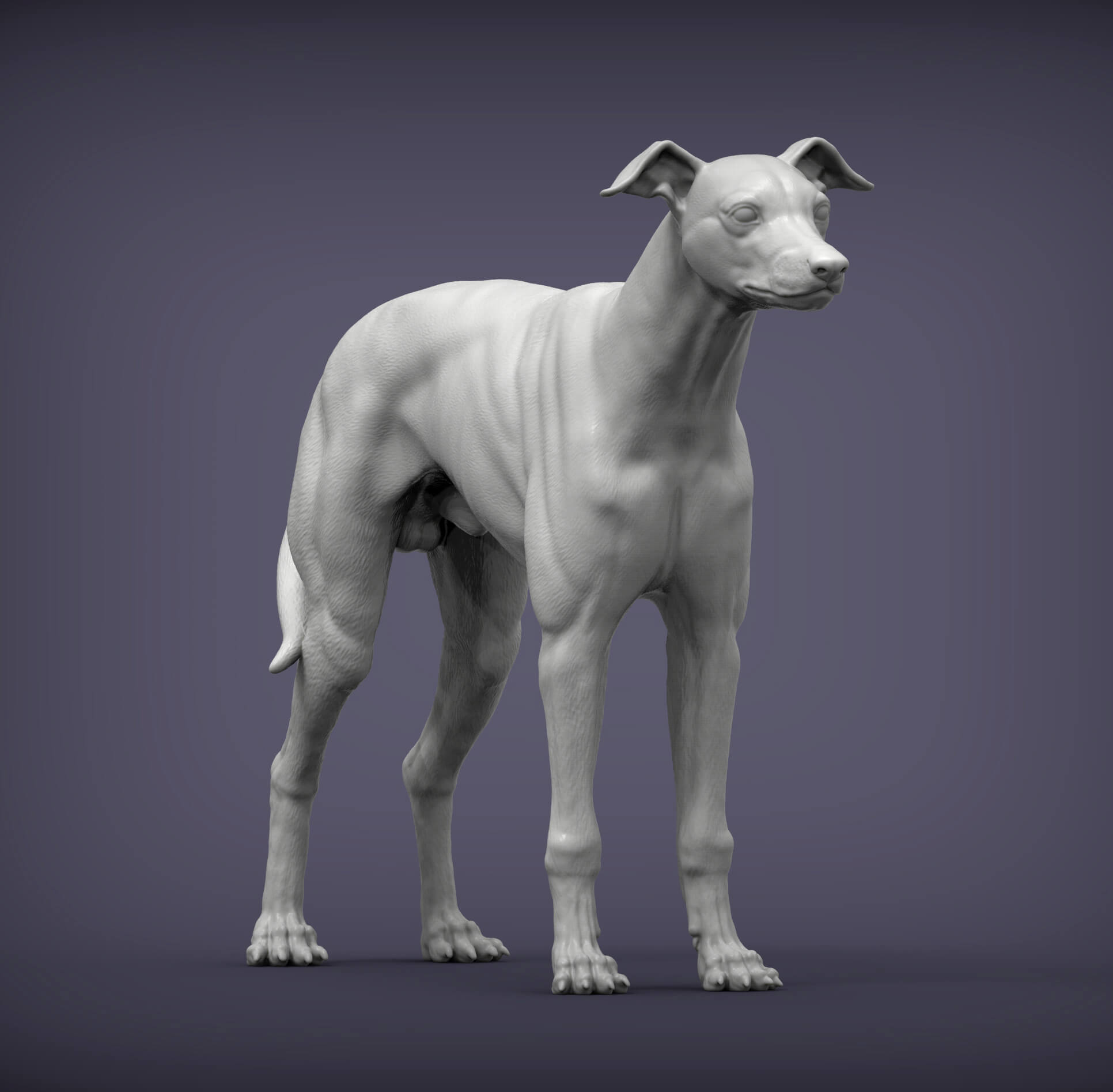 Whippet Sculpture - 3D Model by Alexander3dart