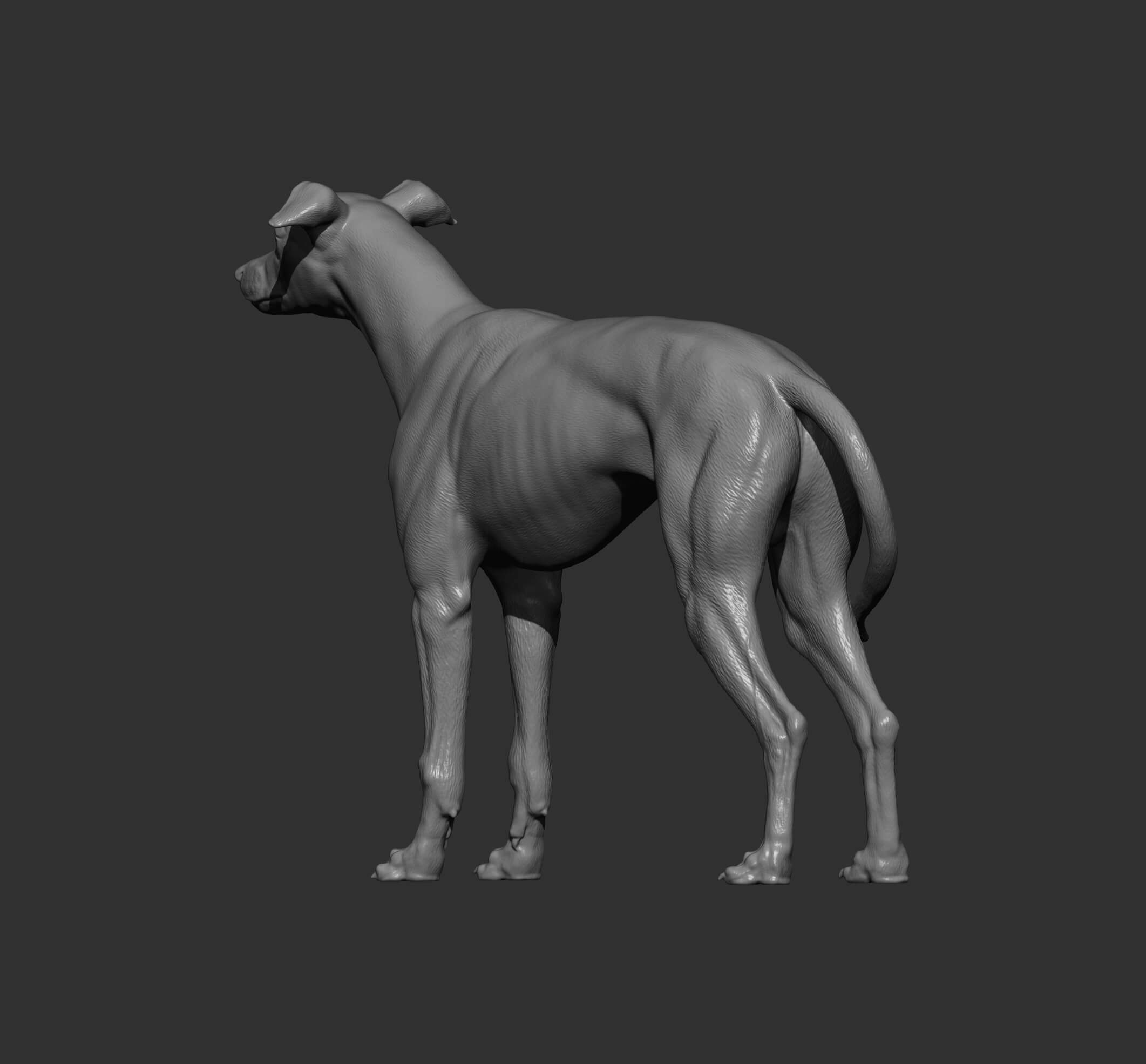 Whippet Sculpture - 3D Model by Alexander3dart