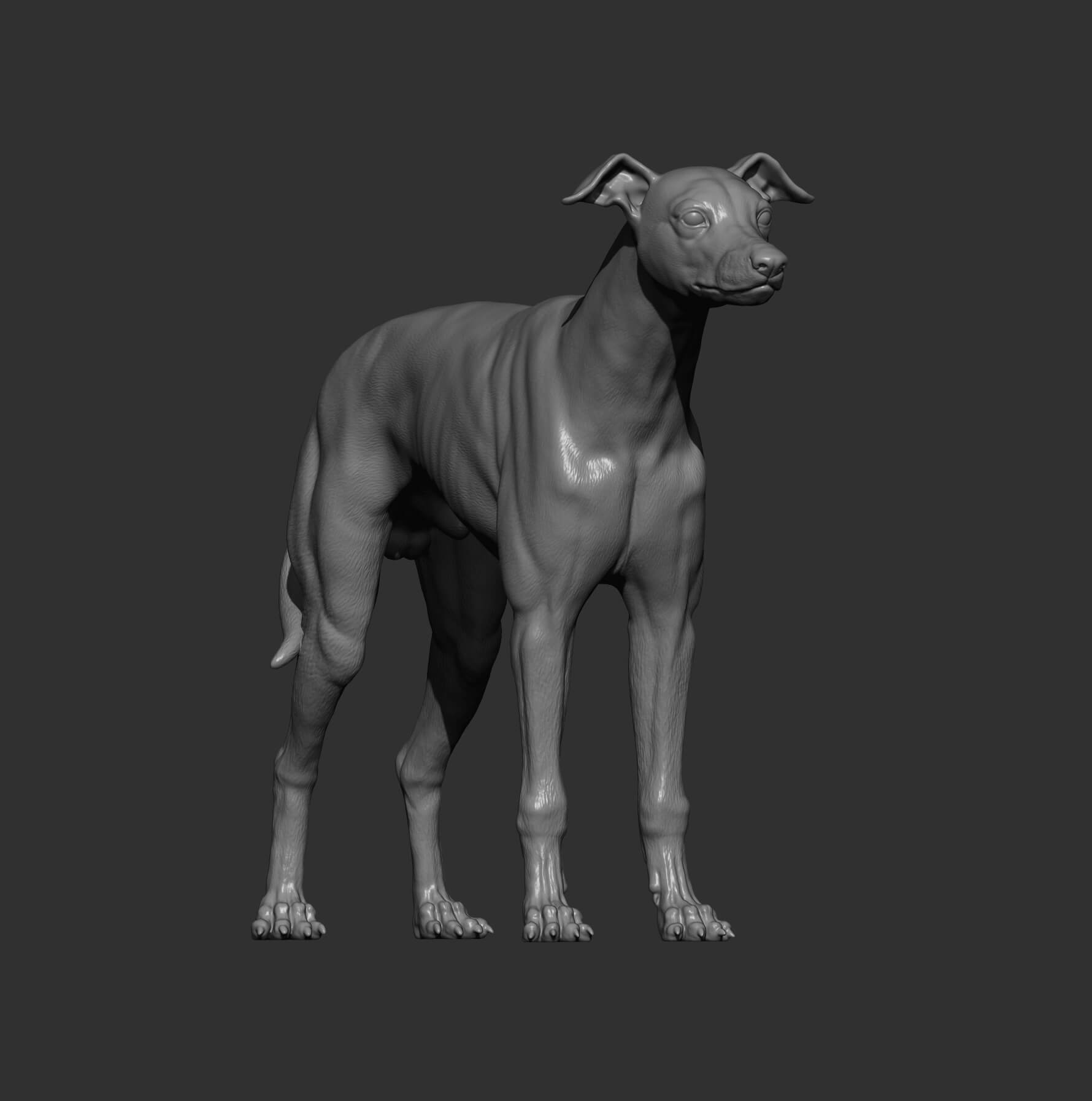 Whippet Sculpture - 3D Model by Alexander3dart