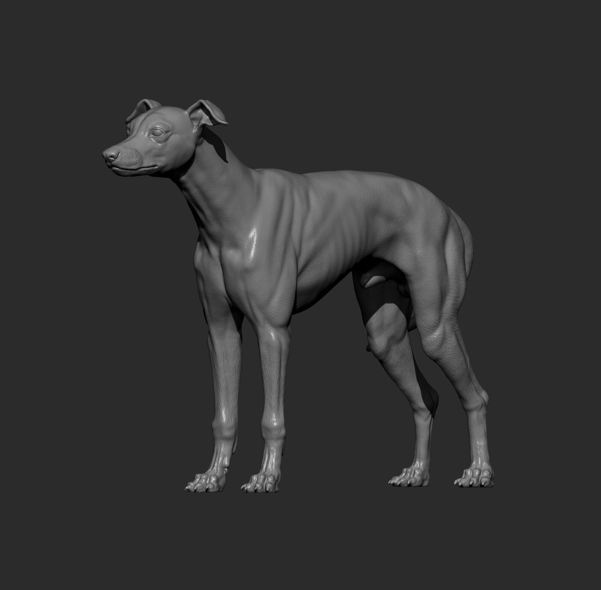 Whippet Sculpture - 3D Model by Alexander3dart