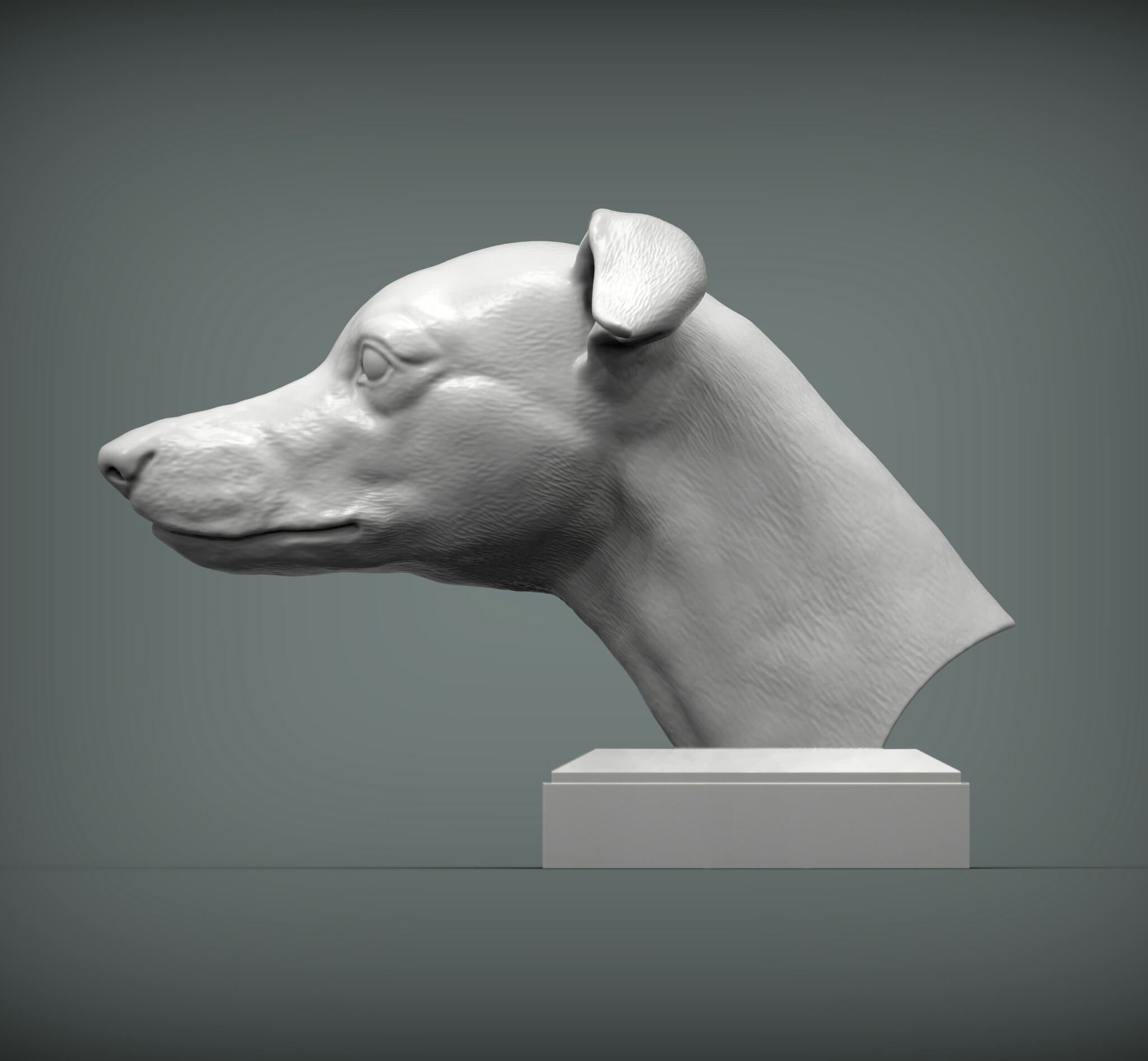 Whippet Bust - 3D Model by Alexander3dart