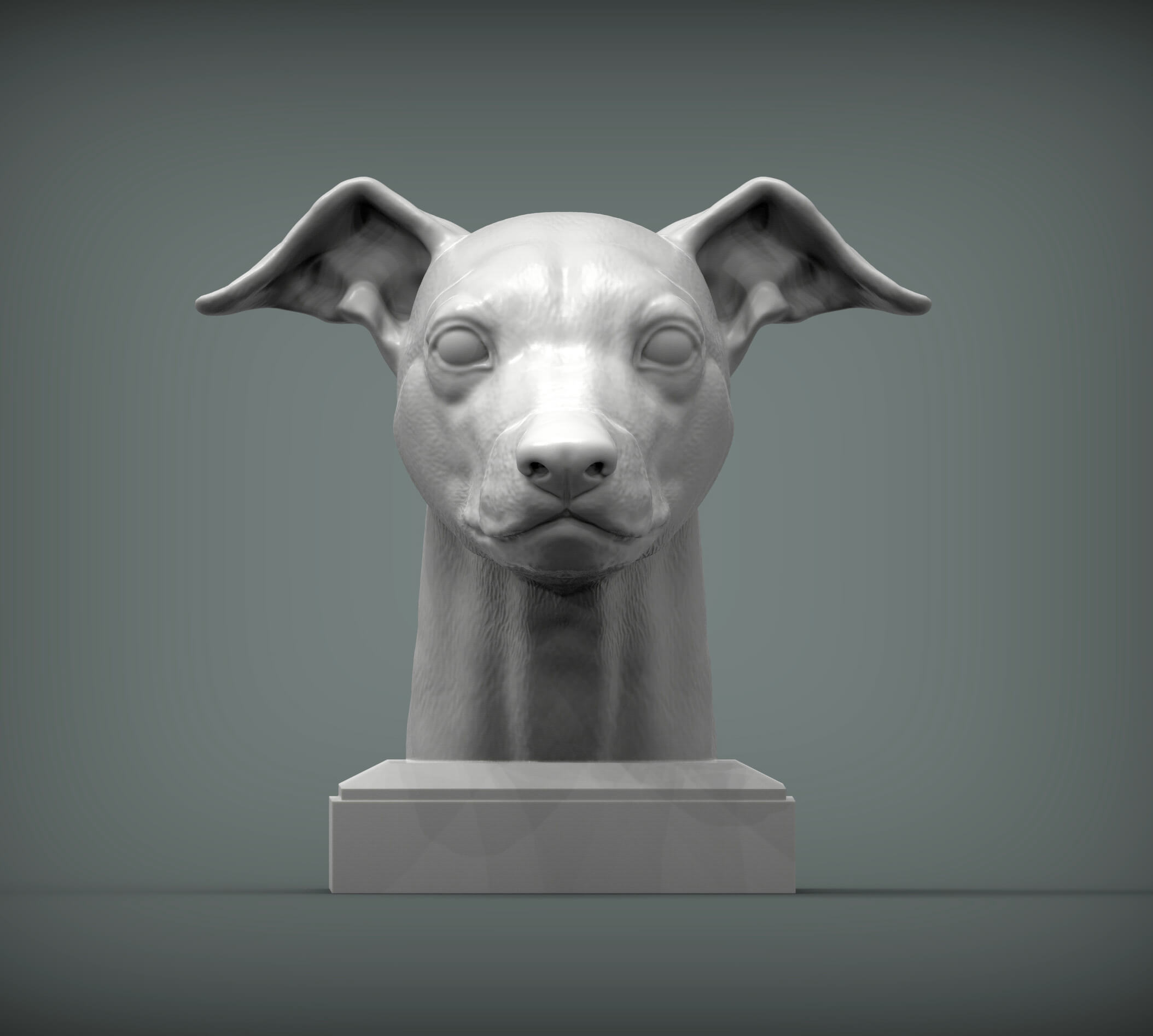 Whippet Bust - 3D Model by Alexander3dart