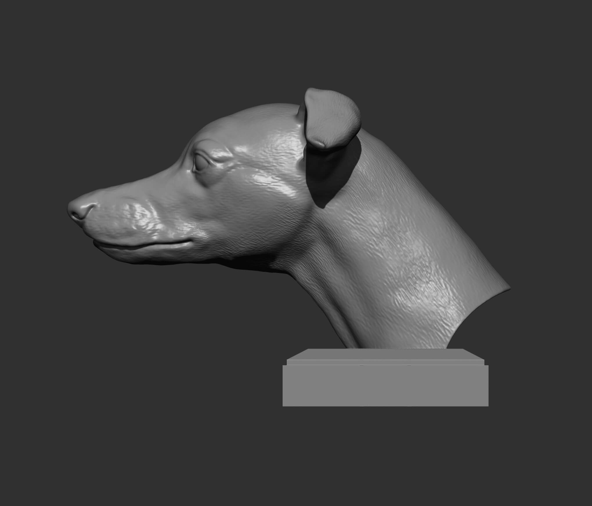 Whippet Bust - 3D Model by Alexander3dart
