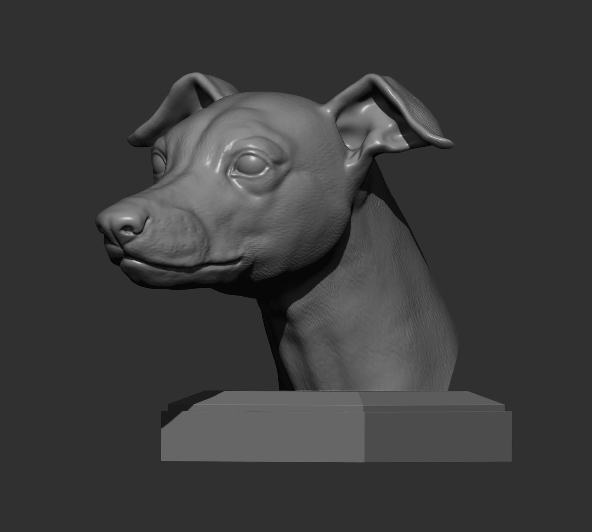 Whippet Bust - 3D Model by Alexander3dart