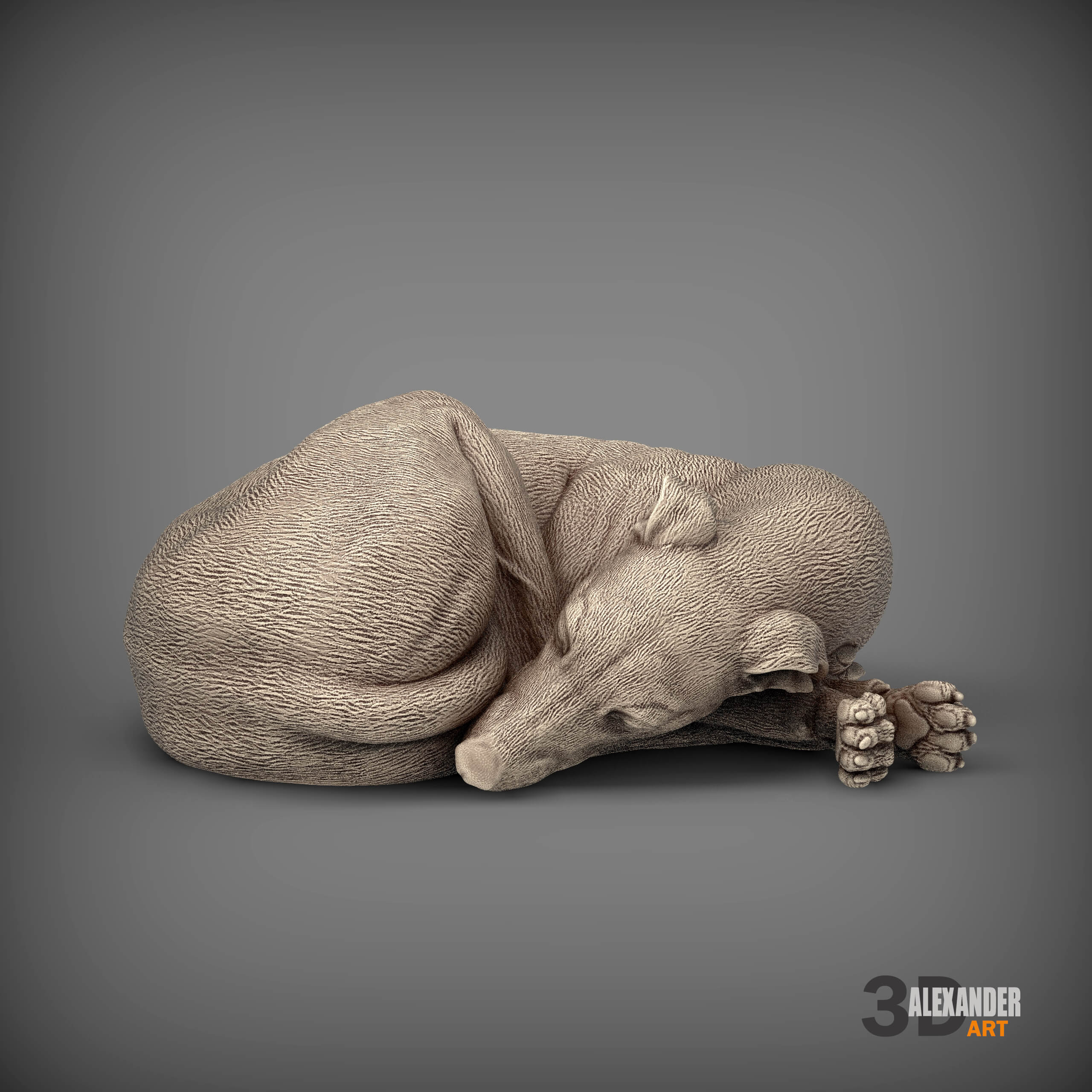 Whippet Curled Up Asleep - 3D Model by Alexander3dart