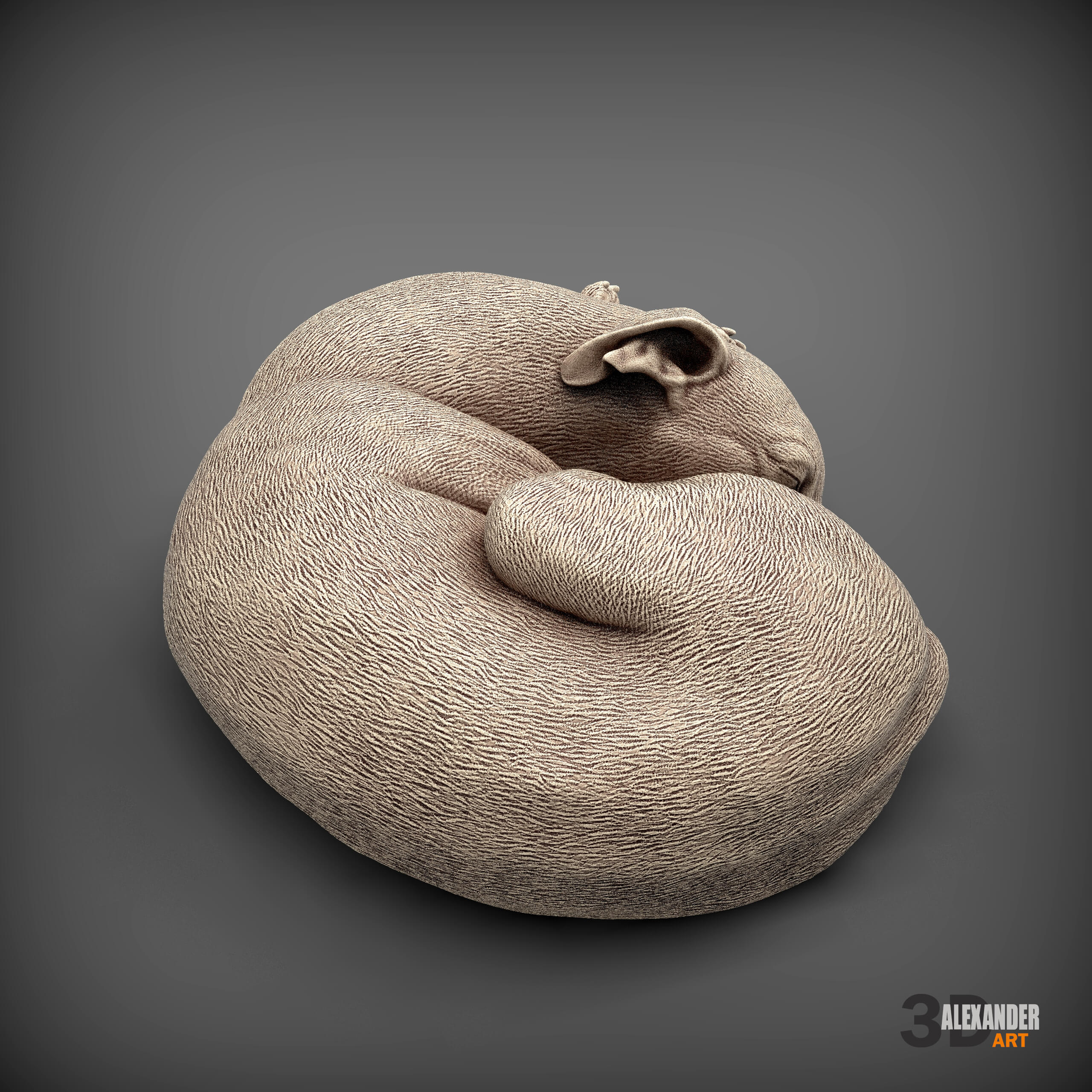 Whippet Curled Up Asleep - 3D Model by Alexander3dart