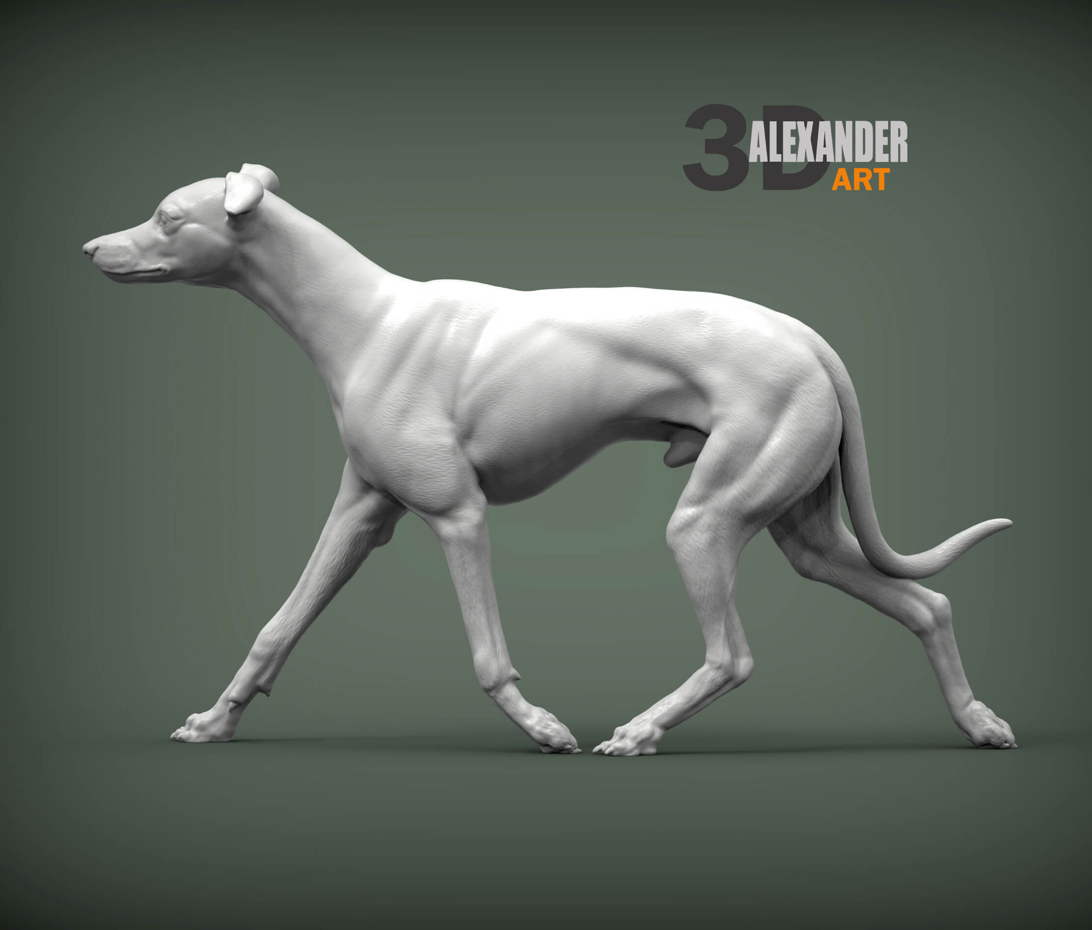 Whippet Runs - 3D Model by Alexander3dart