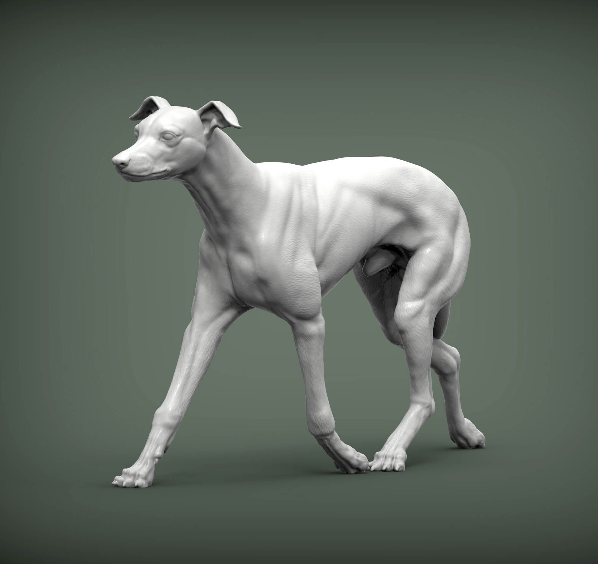 Whippet Runs - 3D Model by Alexander3dart
