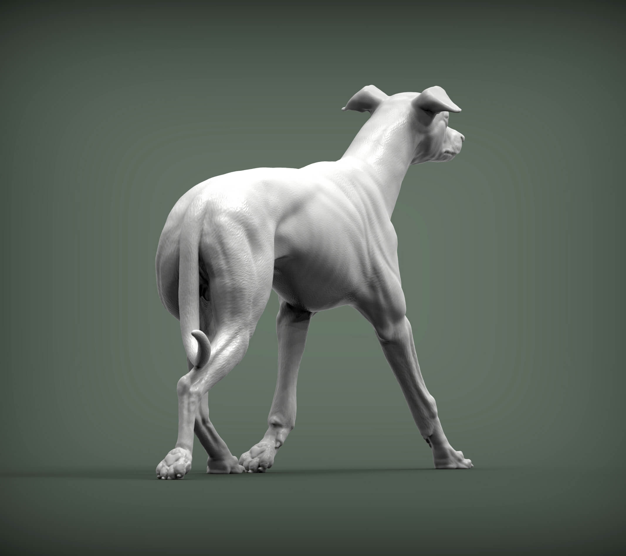 Whippet Runs - 3D Model by Alexander3dart