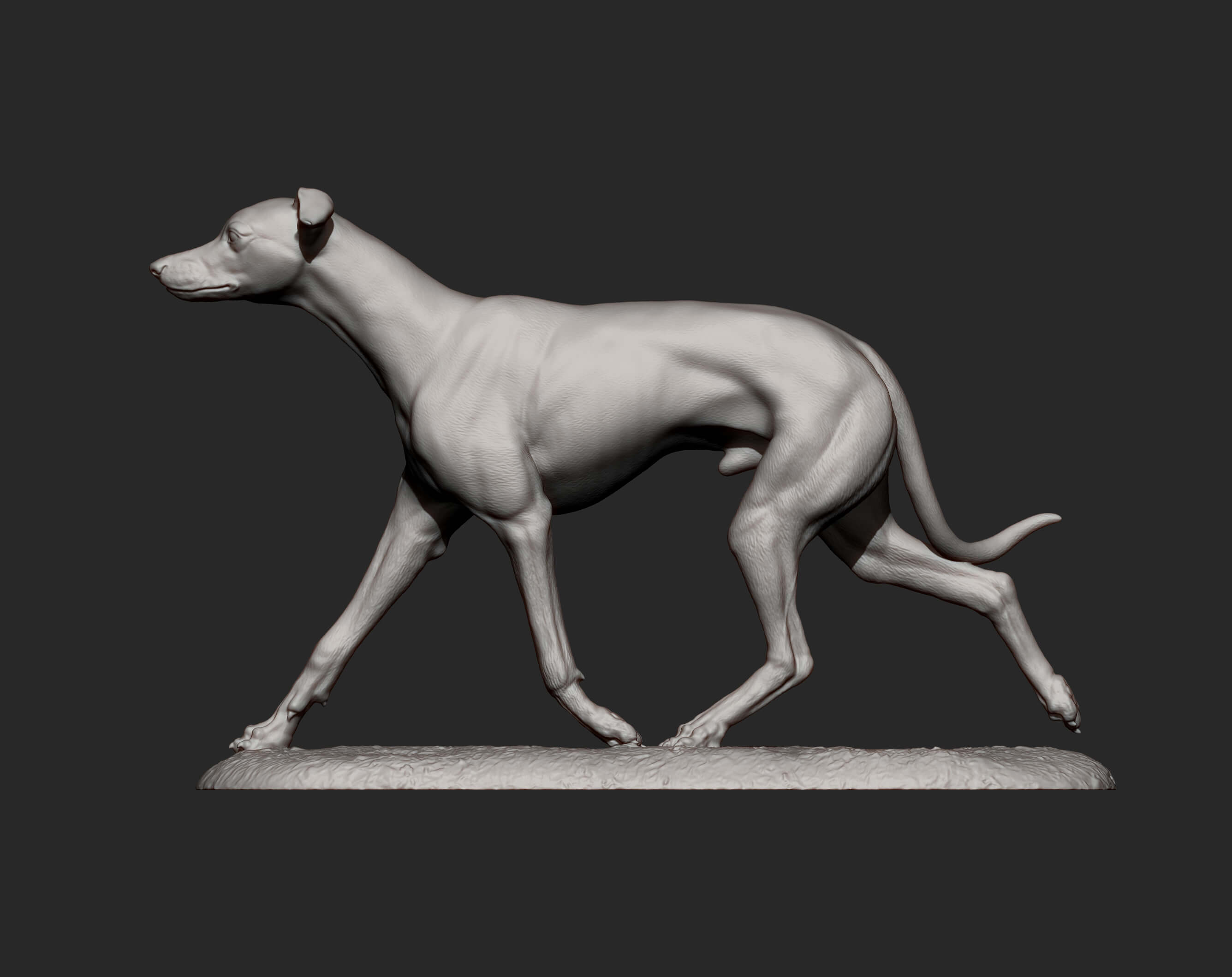 Whippet Runs - 3D Model by Alexander3dart