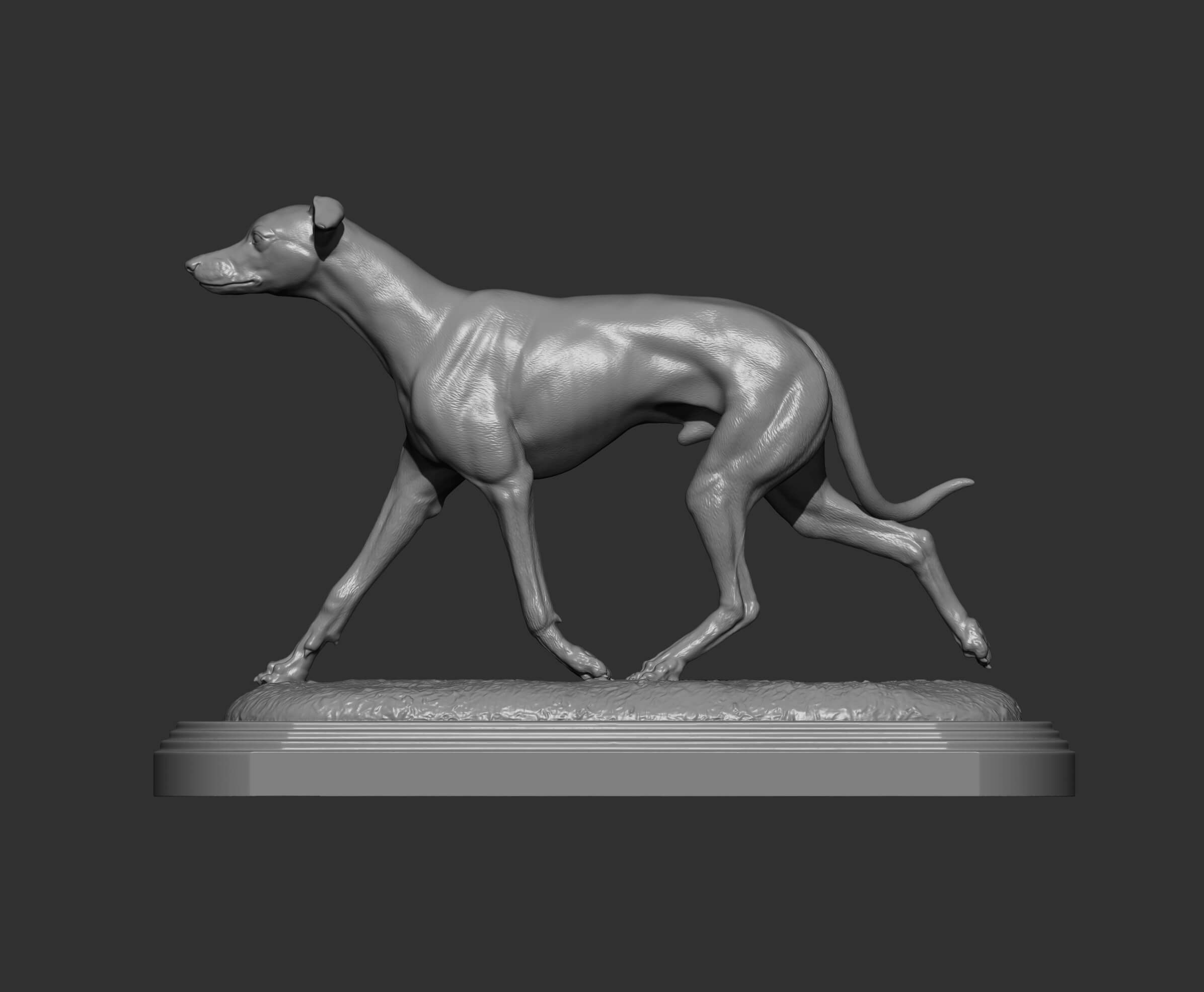 Whippet Runs - 3D Model by Alexander3dart