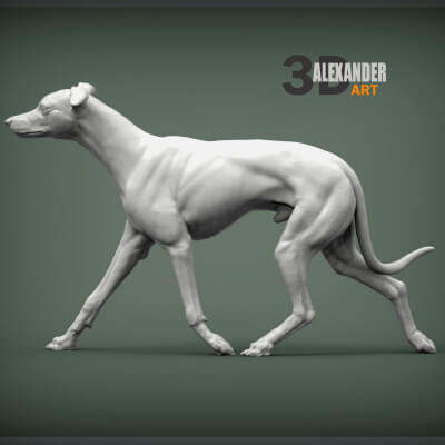 Whippet Runs - 3D Model by Alexander3dart