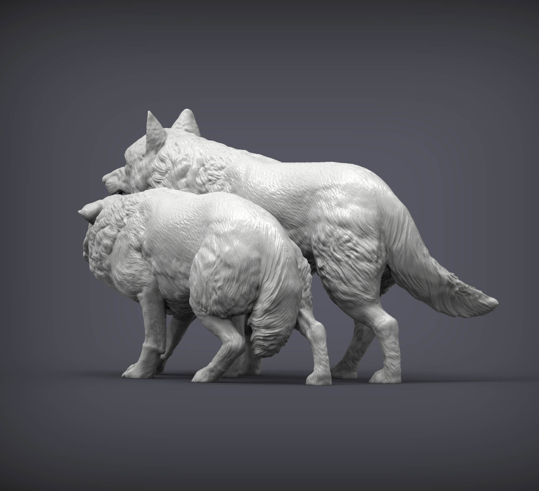 Wolf and She-Wolf 3D Print Model by Alexander3dart