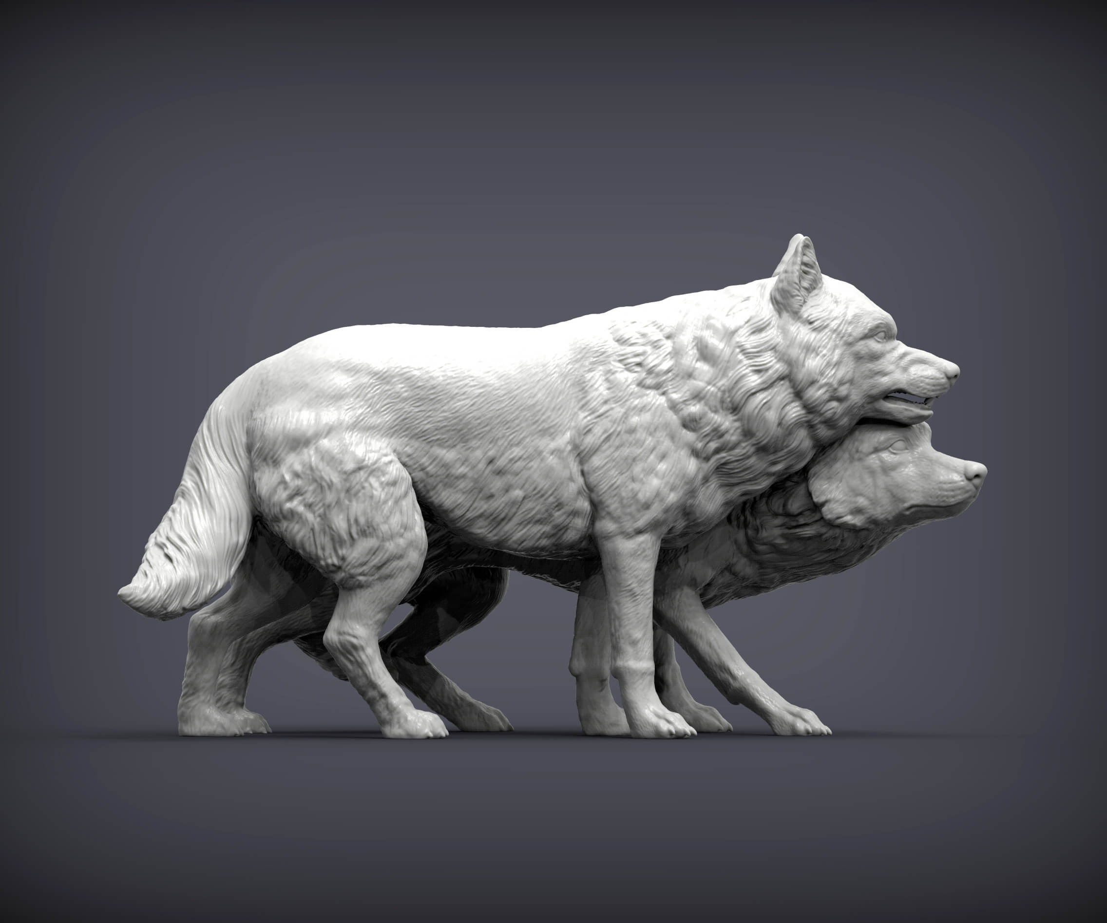 Wolf and She-Wolf 3D Print Model by Alexander3dart